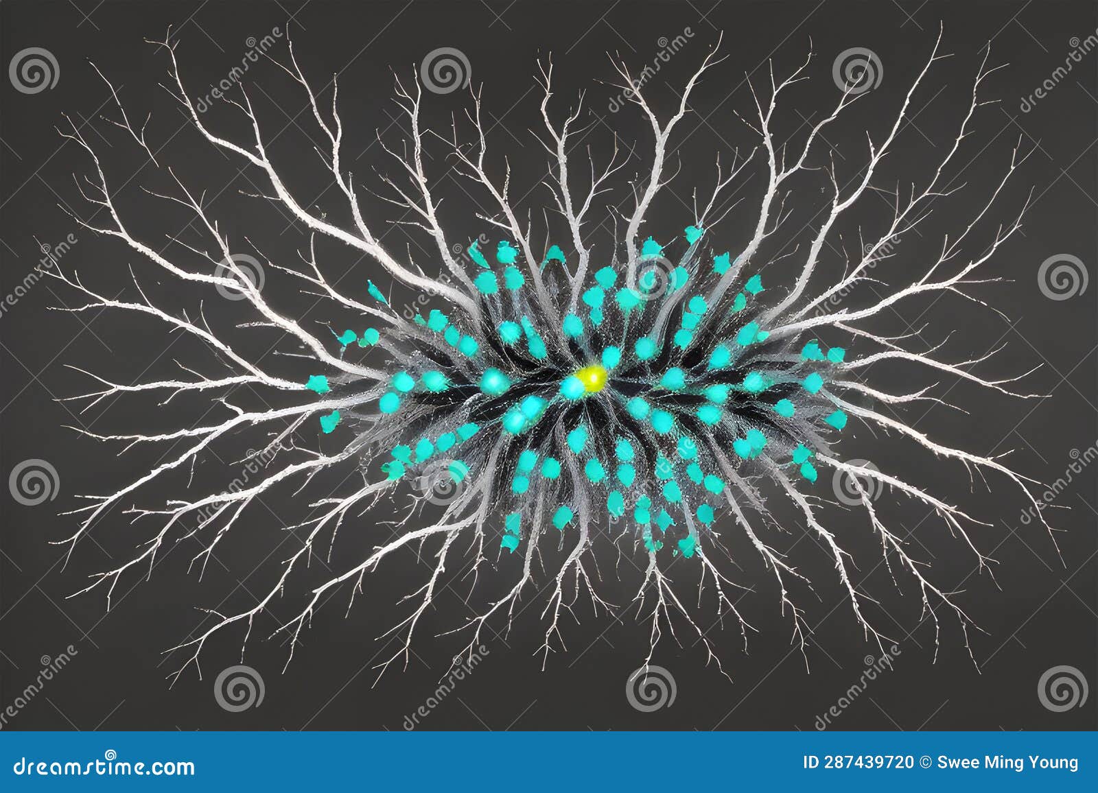 A Cluster of Neuron Floats and Branches Out with Axons and Dendrites of ...