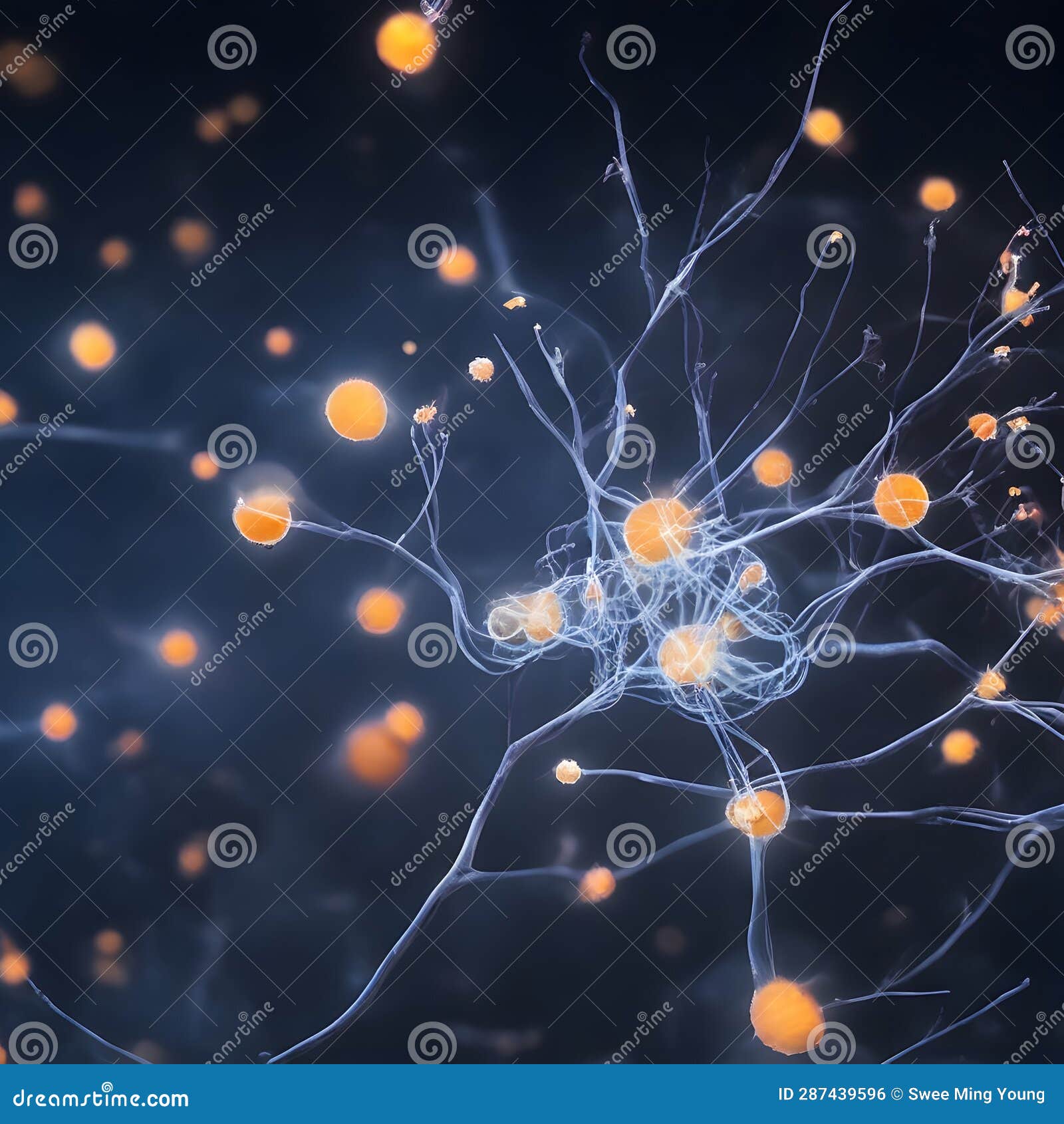 A Cluster of Neuron Floats and Branches Out with Axons and Dendrites of ...