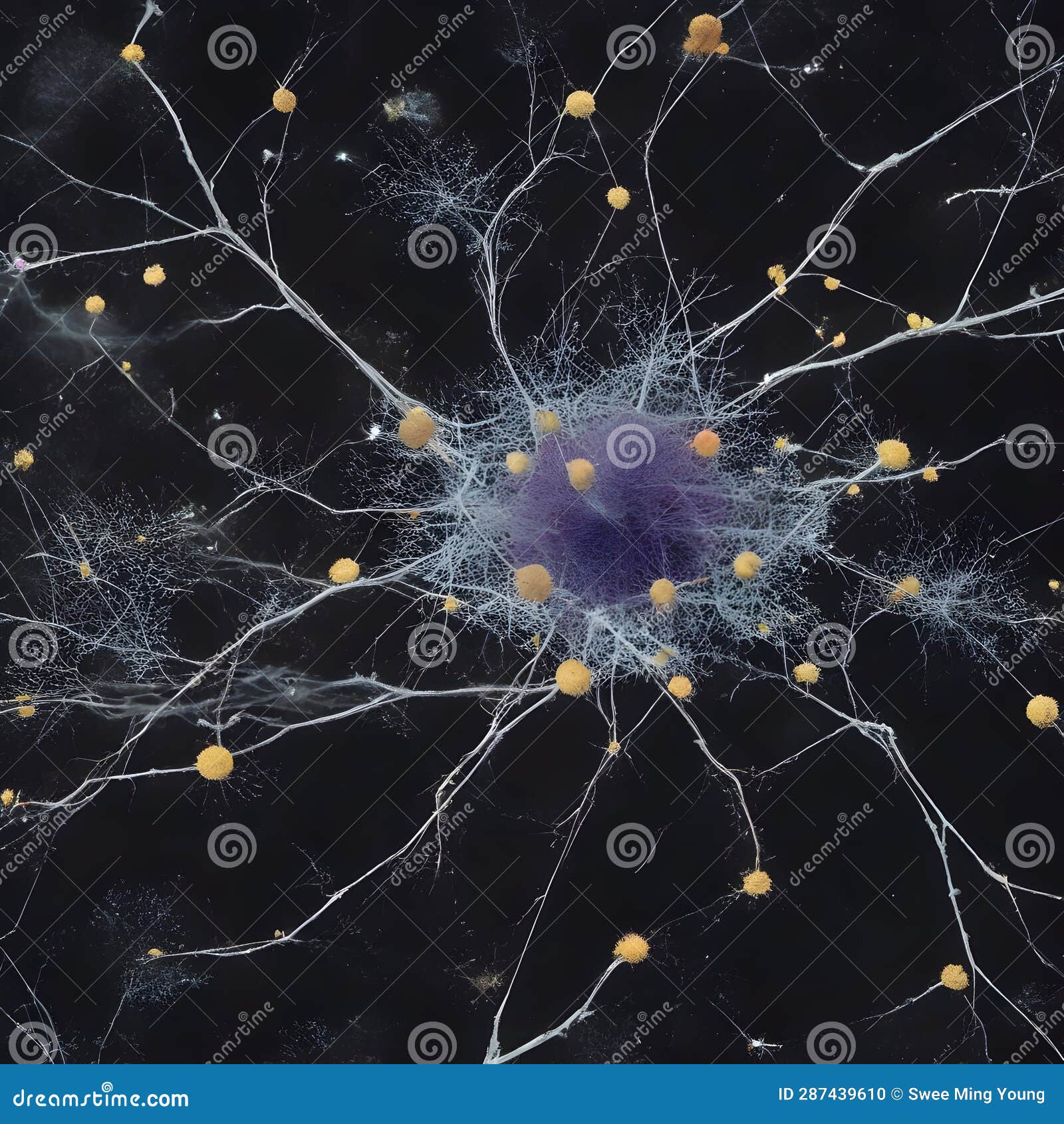 A Cluster of Neuron Floats and Branches Out with Axons and Dendrites of ...