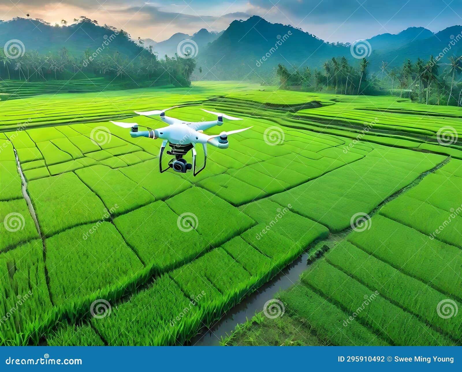 Image of Flying Drone Above the Farmland Field. Stock Illustration ...