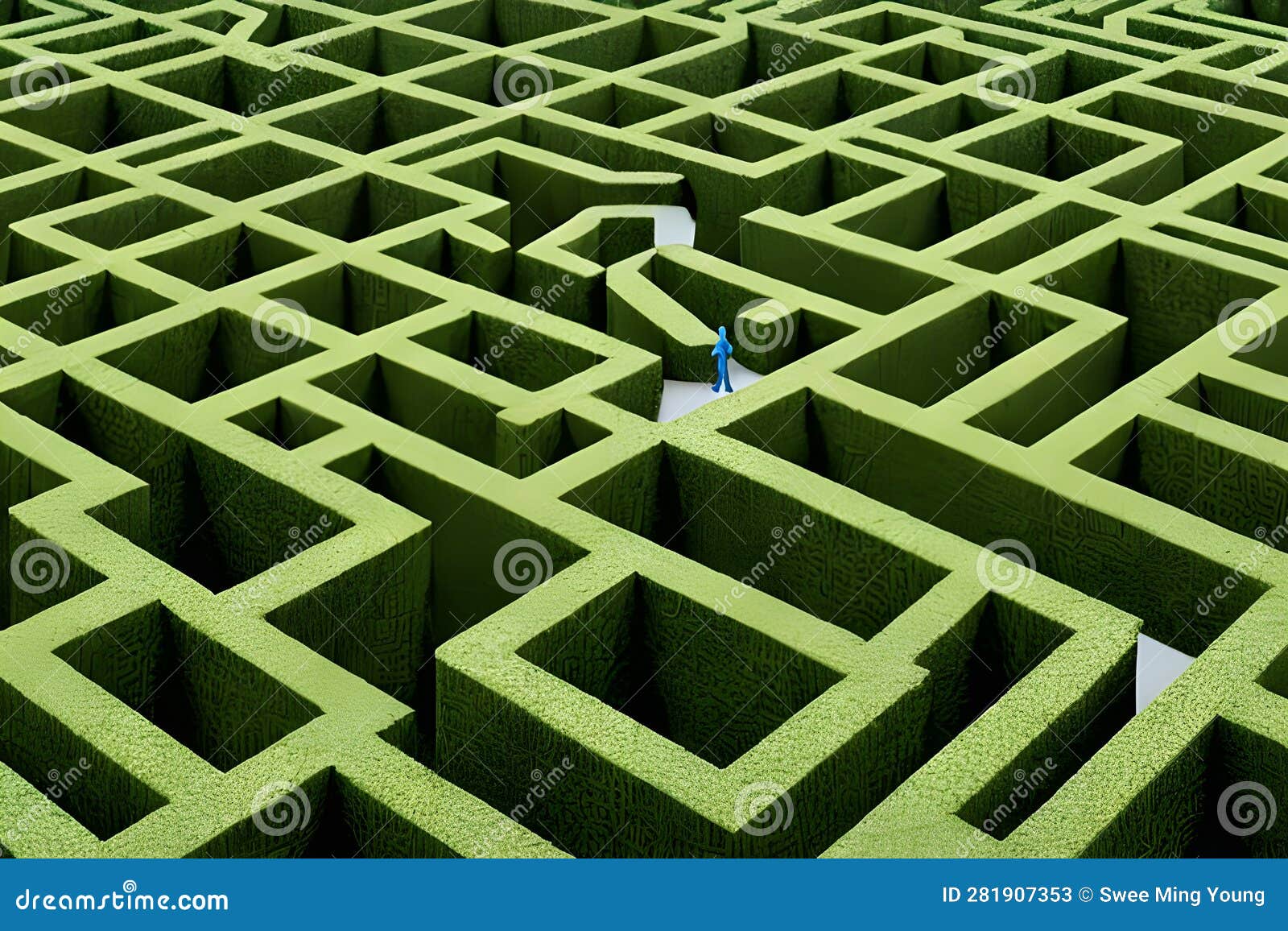 Dwarfed by a Towering 3D Hedge Maze Environment Which Inspired by the ...