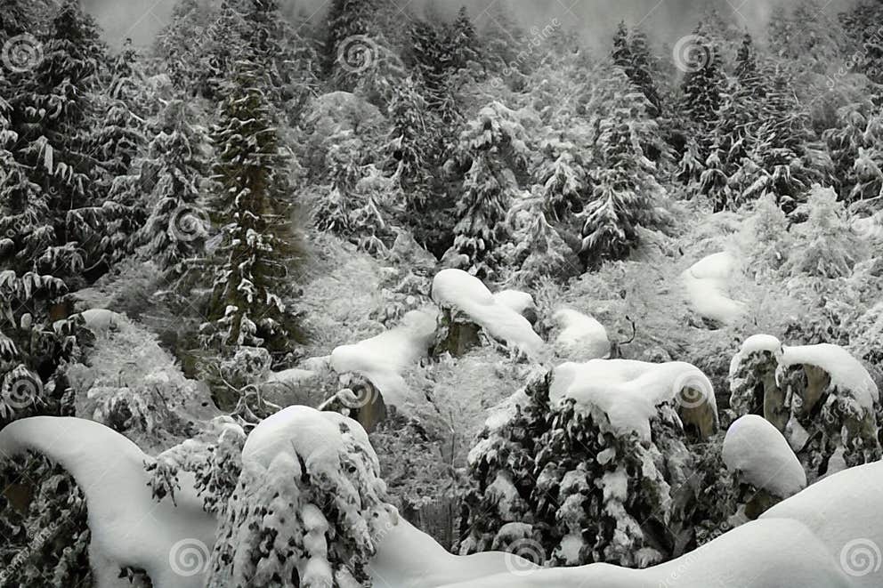 Image of the Beautiful Psychedelic Snowy Cliff Around the Forest ...