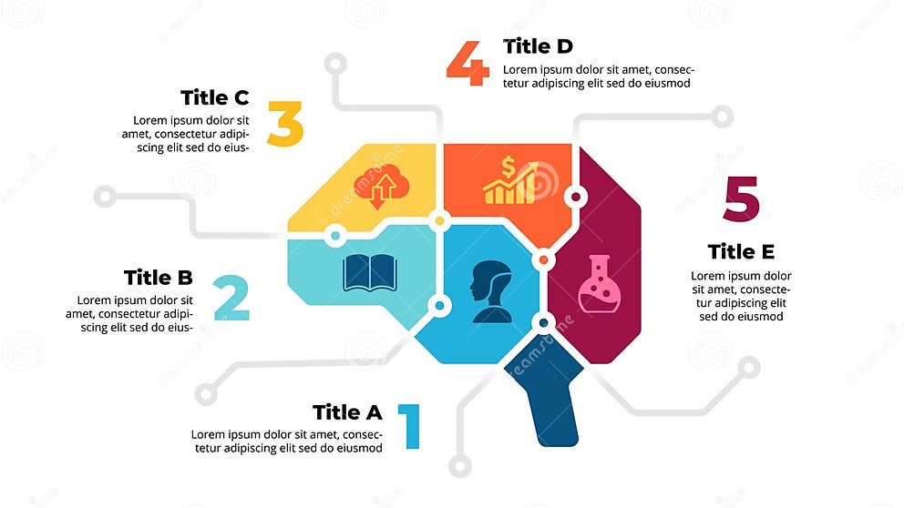 Artificial Intelligence Infographic. Robot Brain Circle Diagram 5 Steps ...