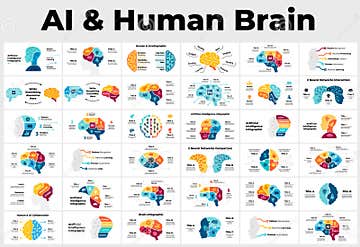 36 Artificial Intelligence Infographics. Brain Circle Diagram. Machine ...