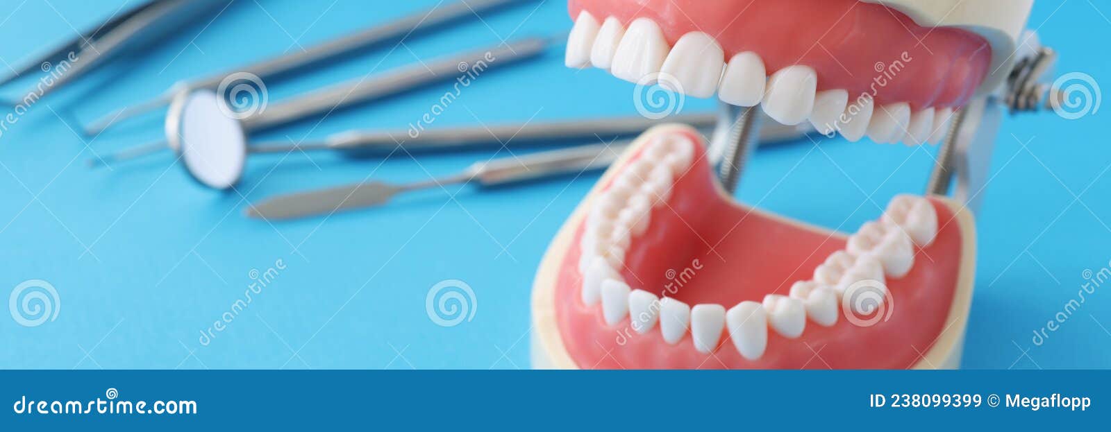 Artificial Jaw with Equal Beautiful Teeth and Dental Instrument on ...