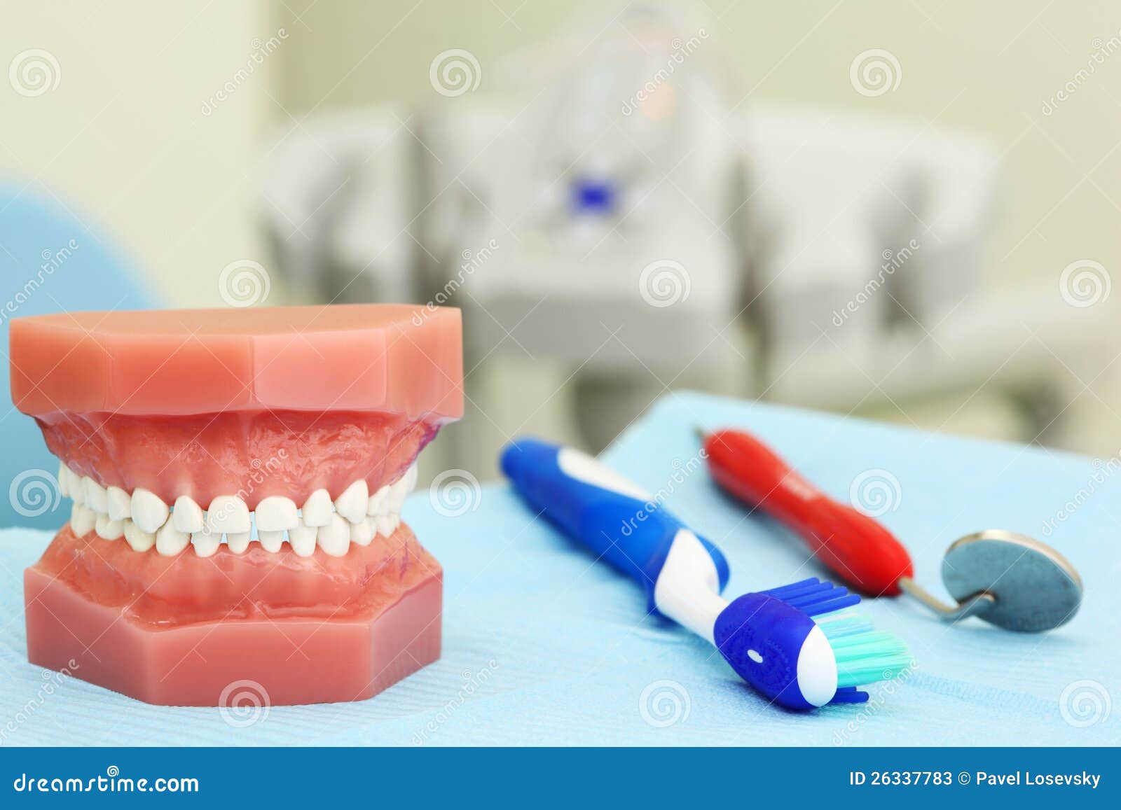 Artificial Jaw, Tooth Brush and Dental Tool Stock Image - Image of ...