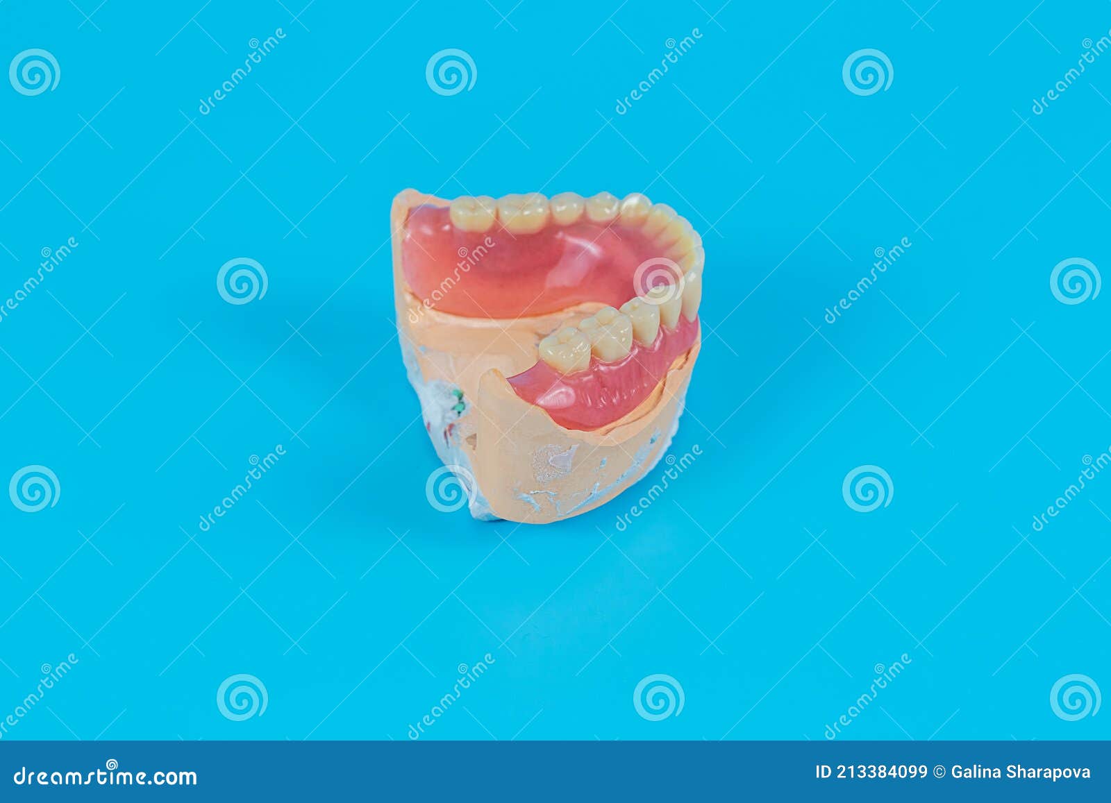 Artificial Jaw, Visual Aid for Dentists and Patients on a Blue ...