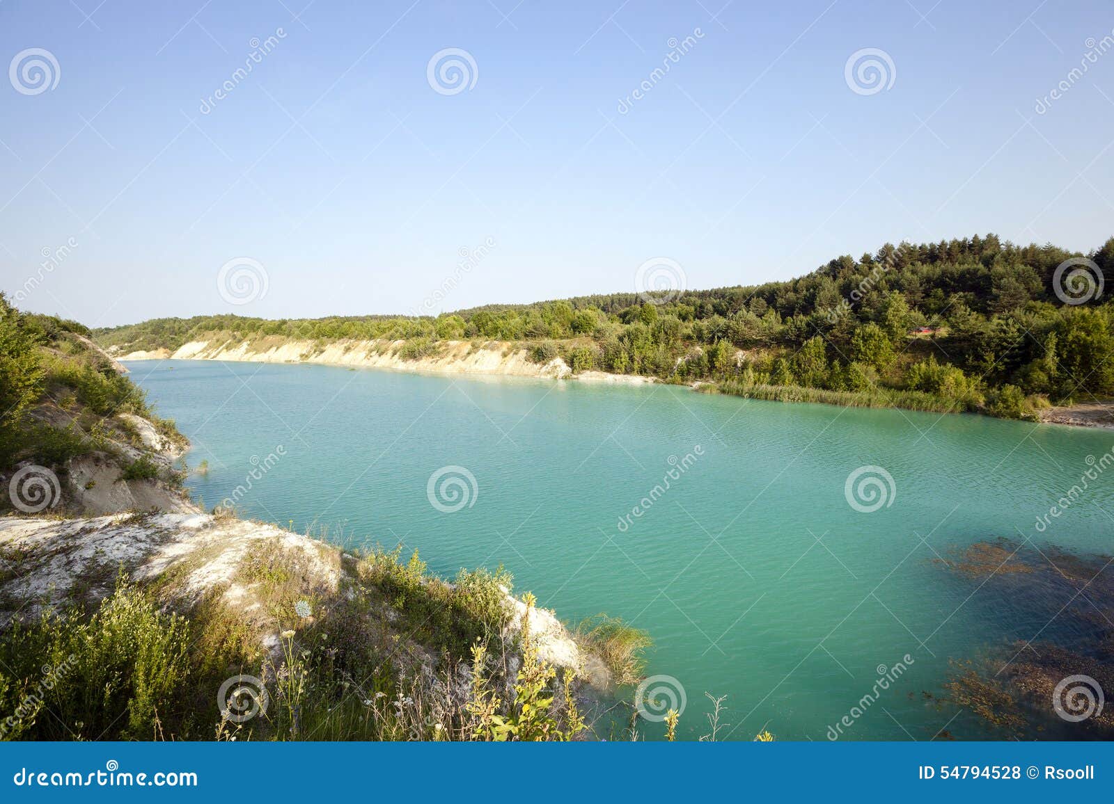 Artificial lake stock photo. Image of green, stem, cretaceous - 54794528