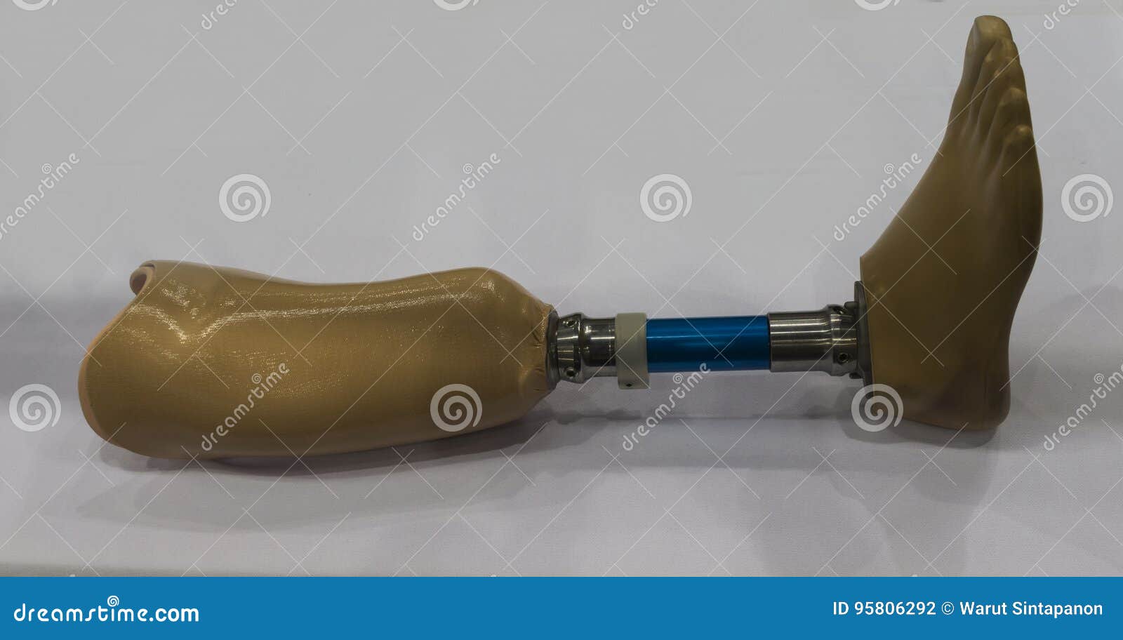 Artificial Leg on White Background Stock Photo - Image of prosthetic ...