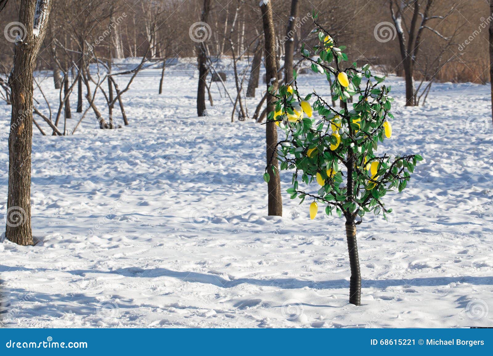 Artificial lemon tree stock image. Image of tree, lemon - 68615221