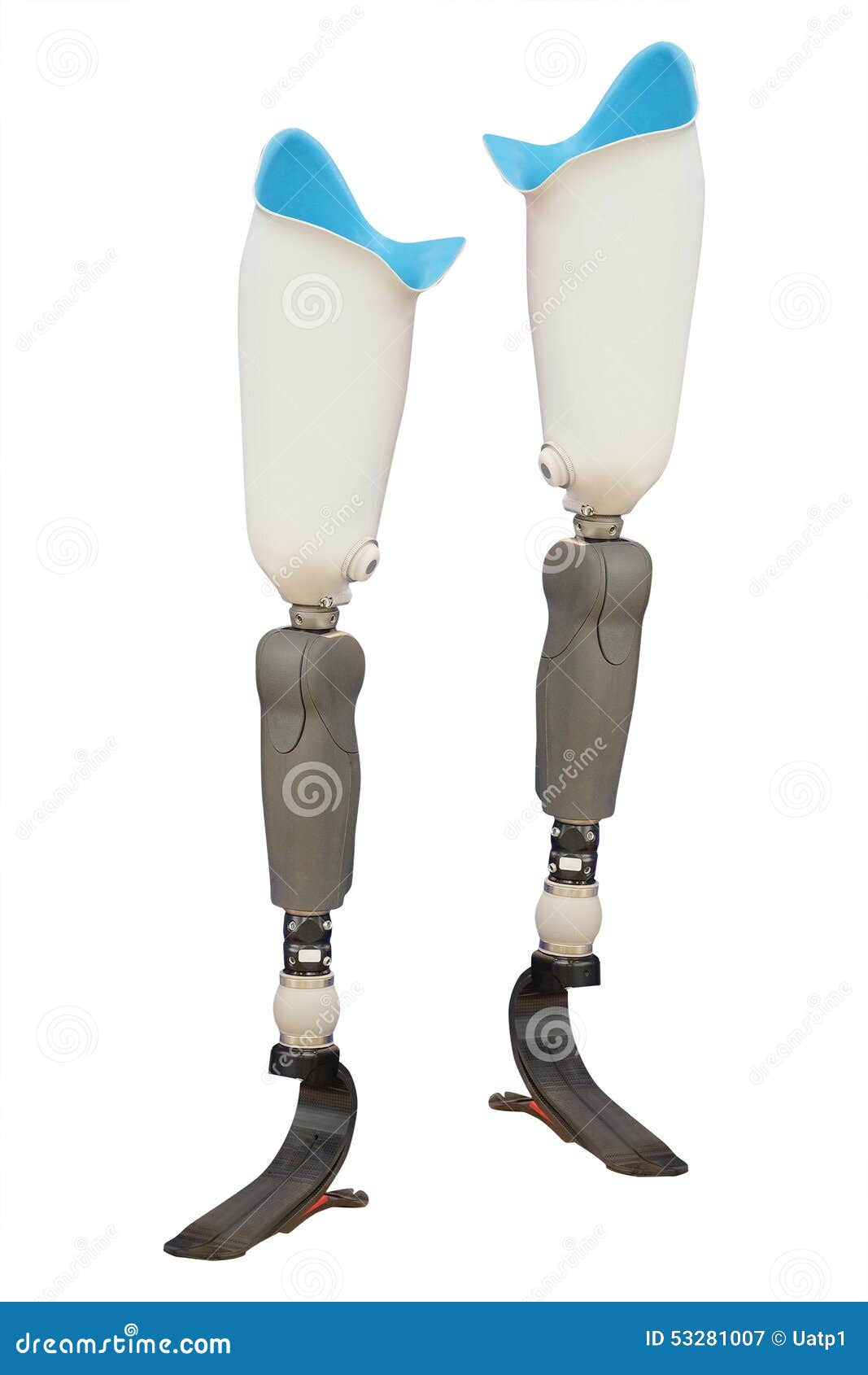 An Artificial Limb Holding A Tennis Ball Royalty-Free Stock Image ...