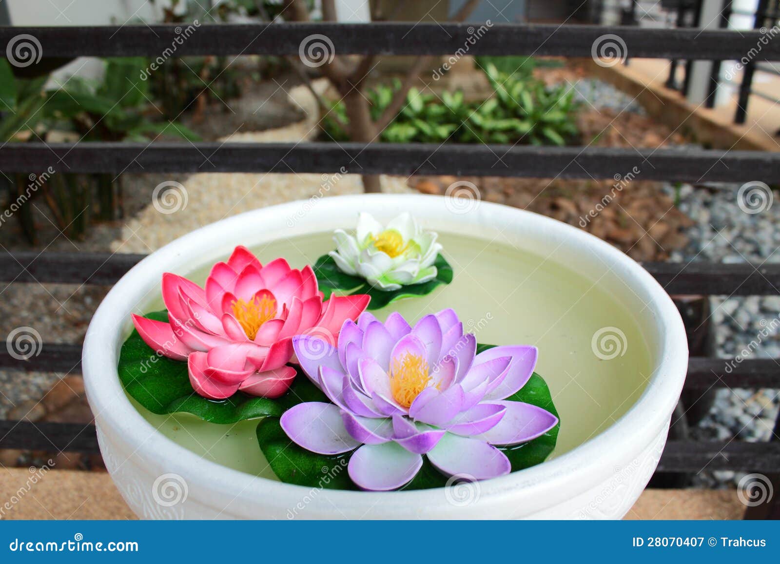 Artificial Lotus from Plastic Stock Image - Image of bloom, water: 28070407