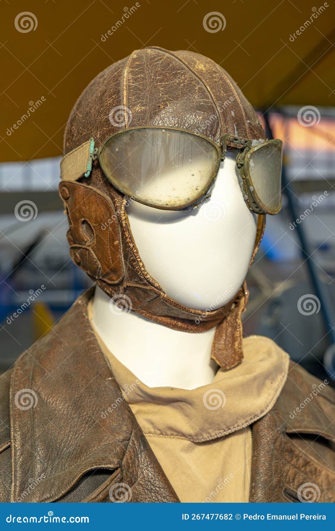 Artificial Mannequin Bust of an Aviator Pilot with Characteristic ...