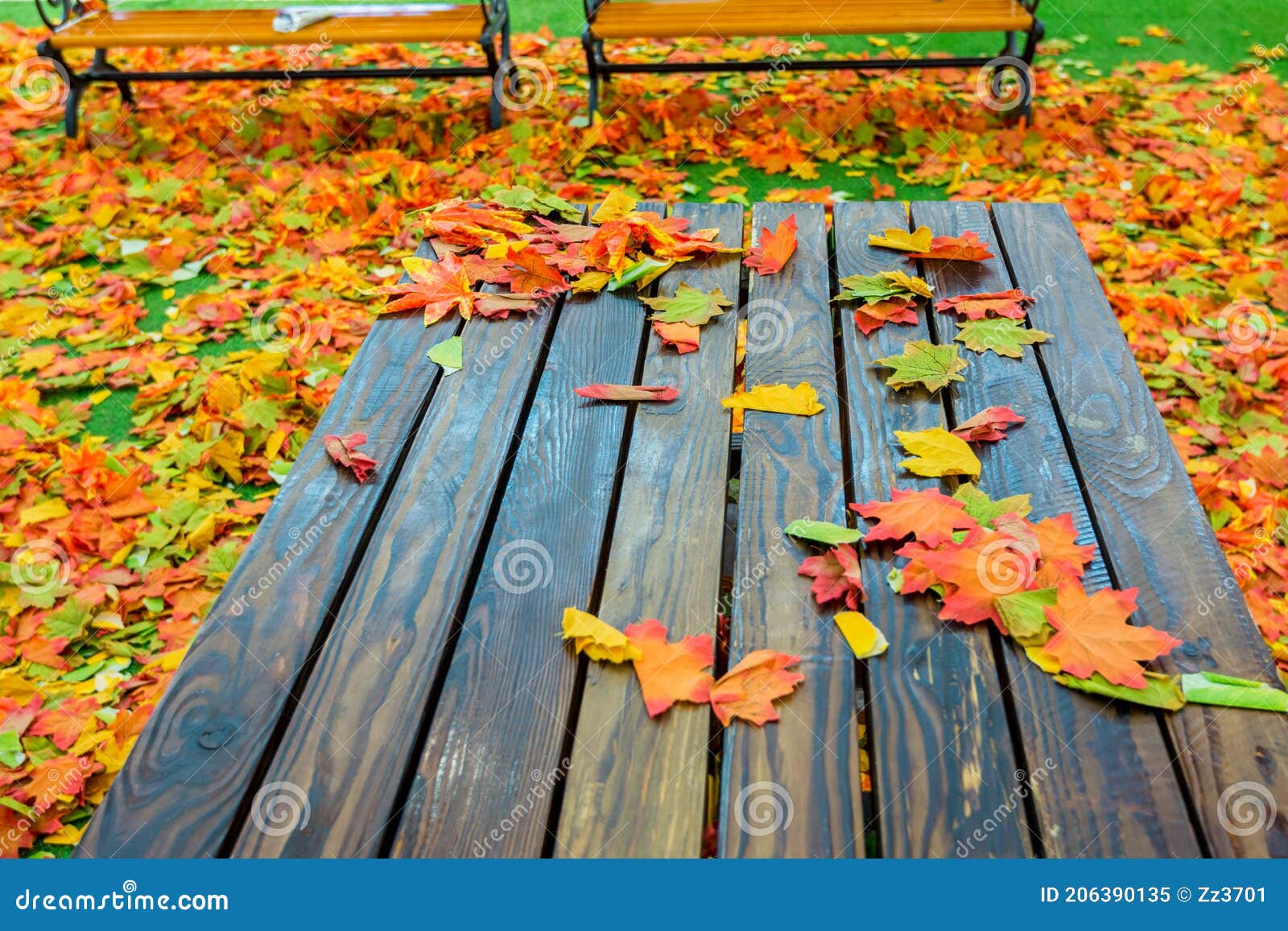 Artificial Maple Fall Foliage on Bench Background for Autumn Season ...