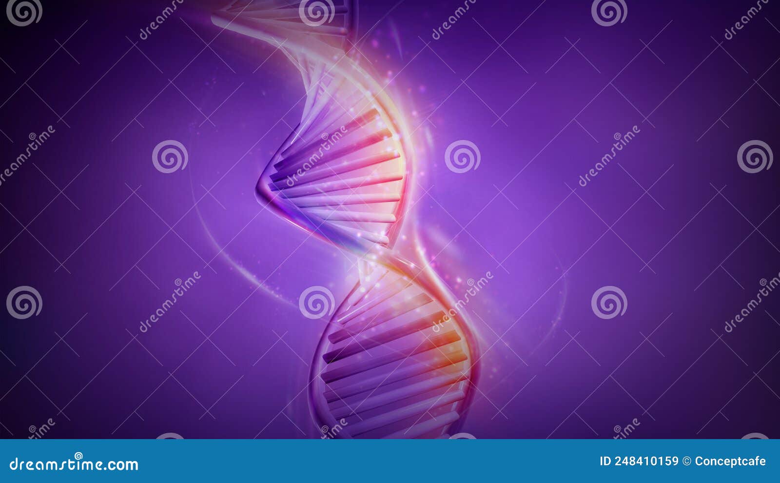 Double-stranded Helix DNA Model on Violet Background, 3D Render. Stock ...