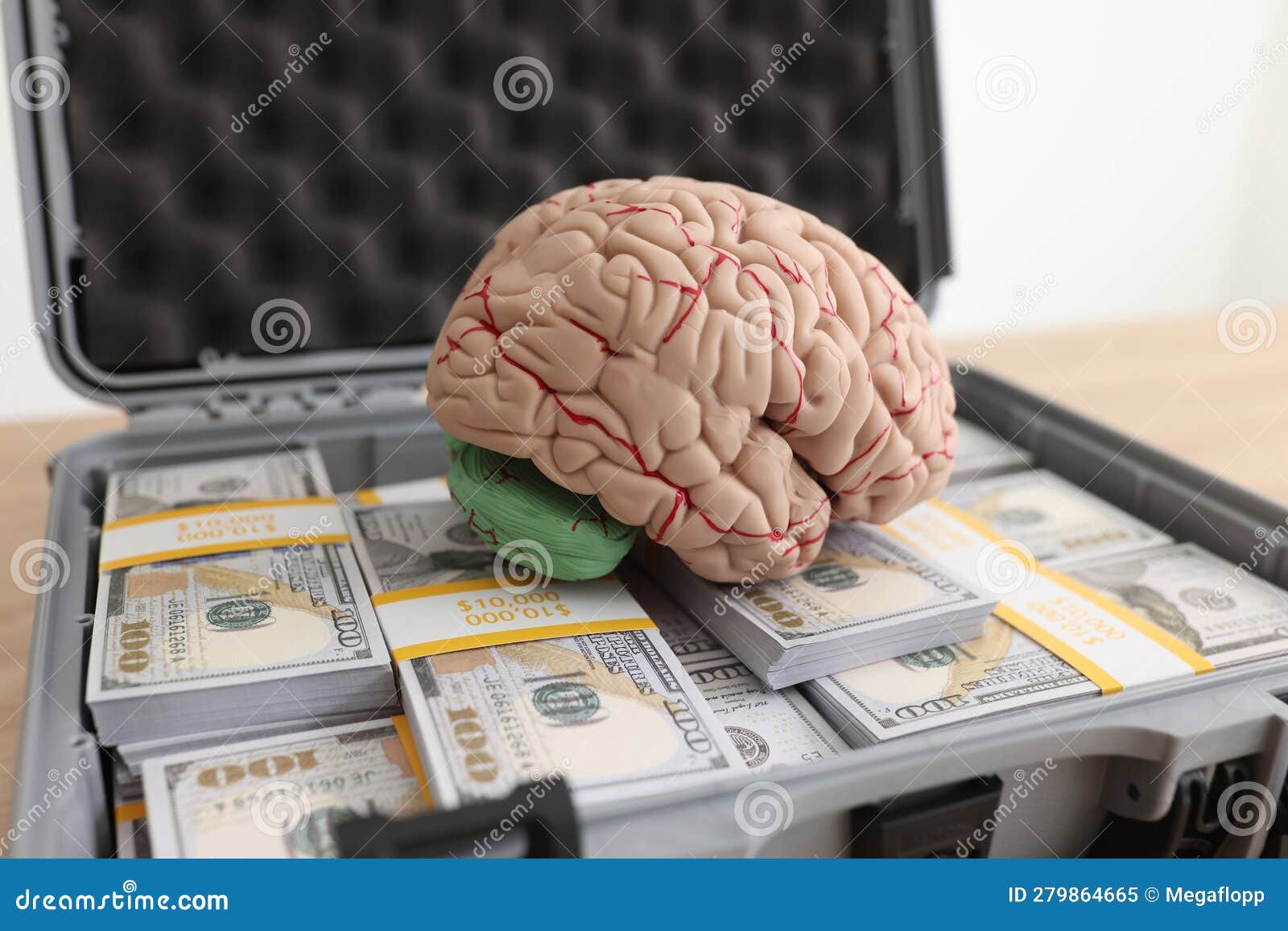 Artificial Model of Human Brain Lying on Stacks of Money Stock Image ...
