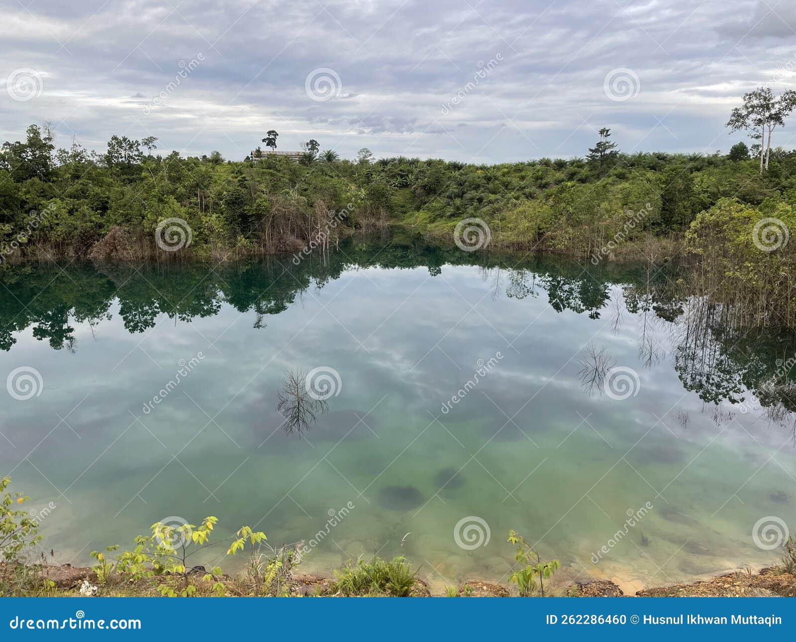 Artificial Nature Mini Lake Stock Photo - Image of lake, nature: 262286460