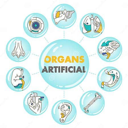 Artificial organs poster stock vector. Illustration of poster - 79709181