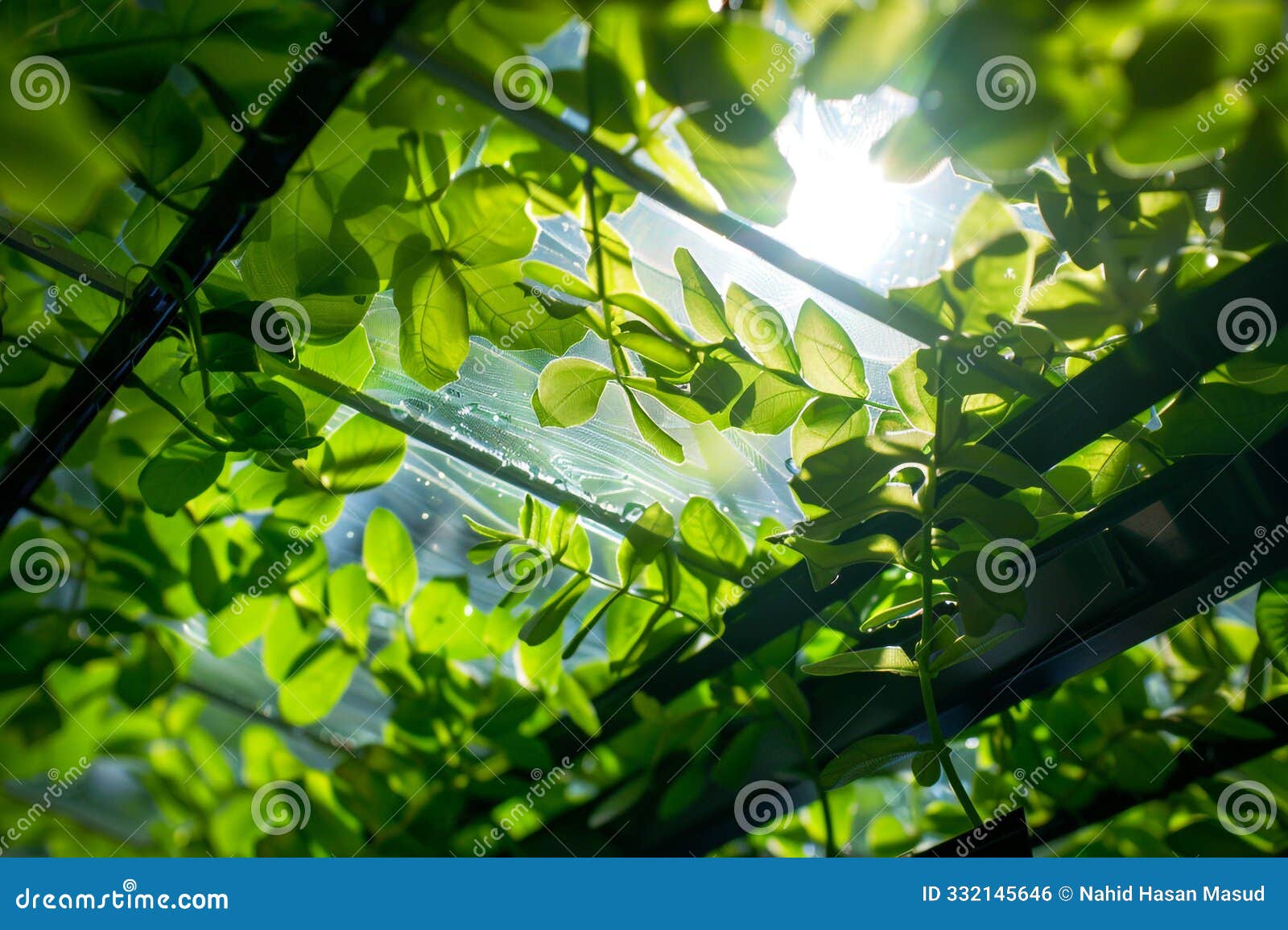 Artificial Photosynthesis Molecules Under A Microscope Royalty-Free ...