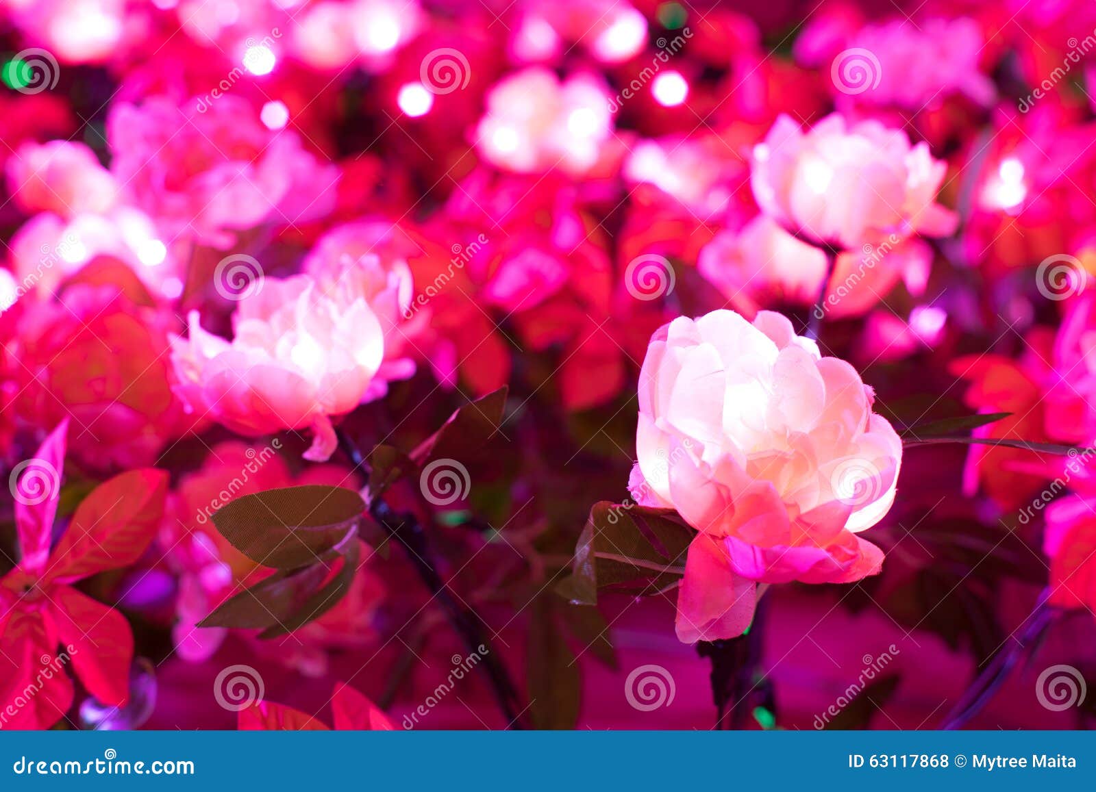 Artificial Pink Flower Has Led Light in it. Stock Photo - Image of ...