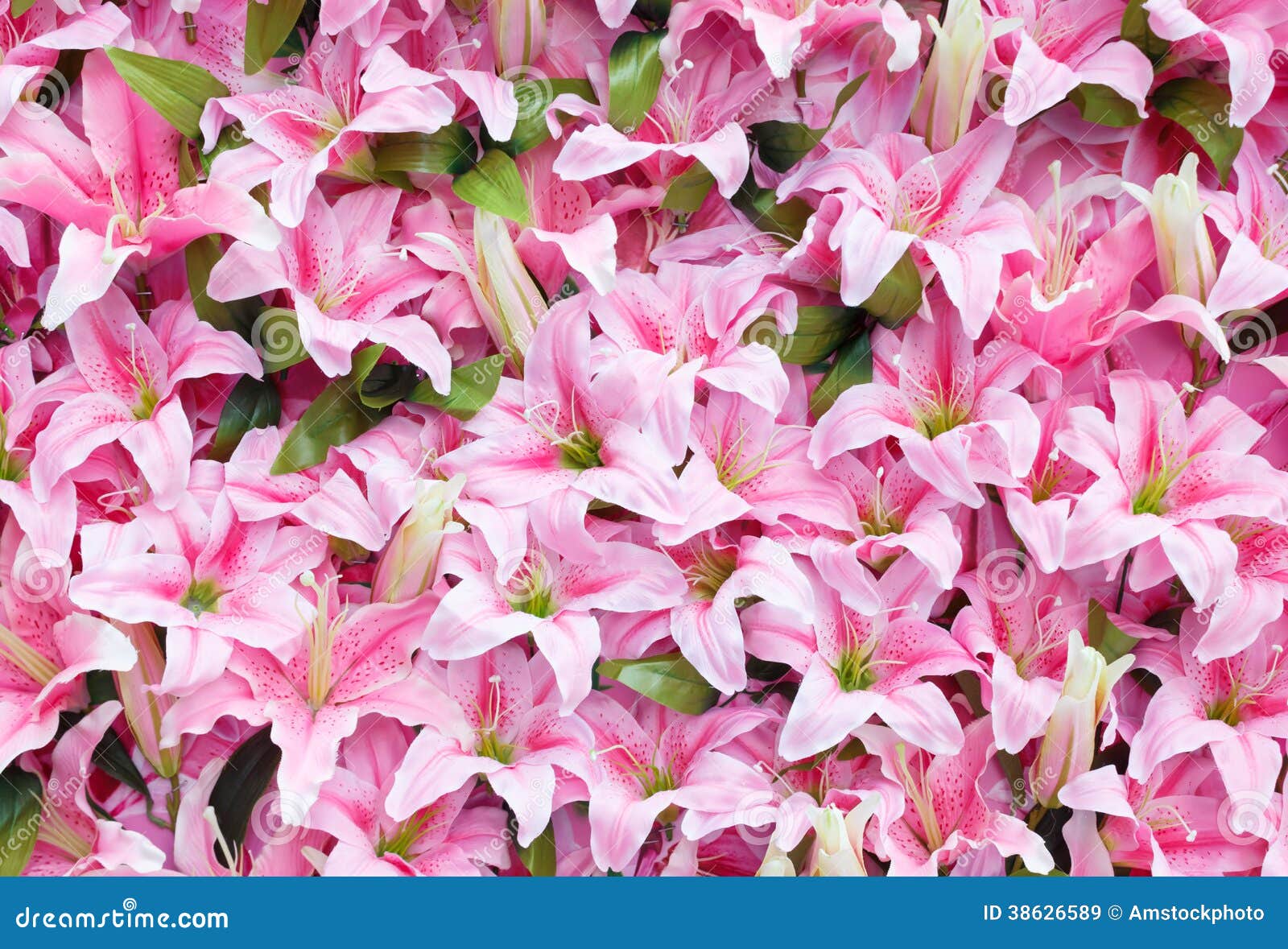 Artificial Pink Rain Lily Flowers Background Stock Image - Image of ...