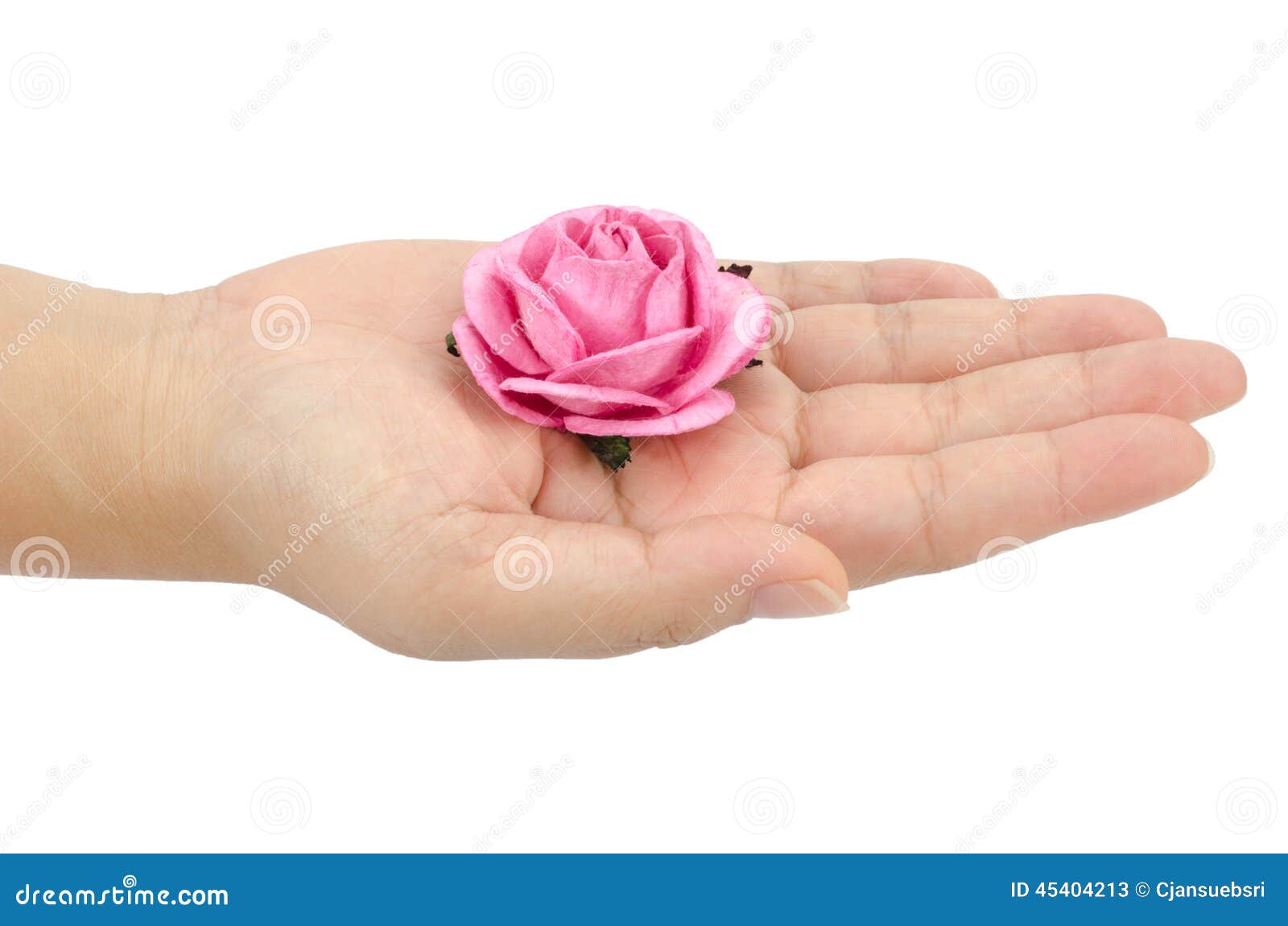 Artificial Pink Rose in Hand Stock Image - Image of isolated, hand ...
