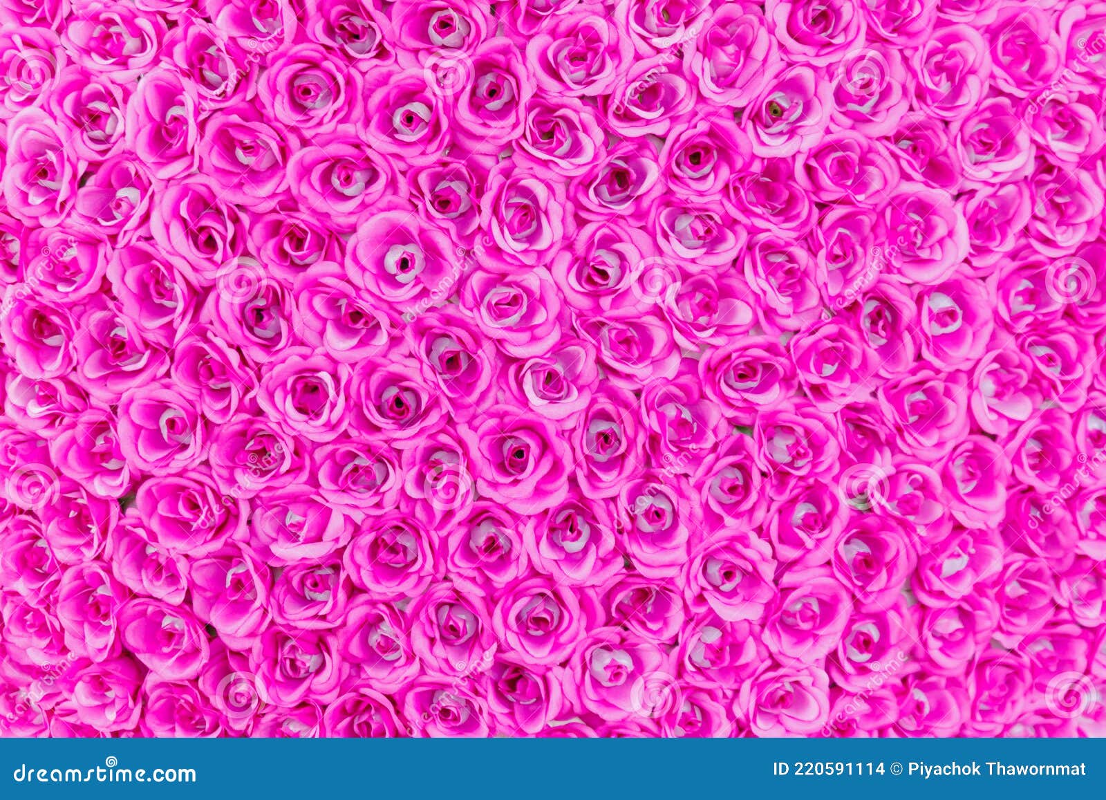 Artificial Pink Roses Backgrounds Stock Photo - Image of flower ...