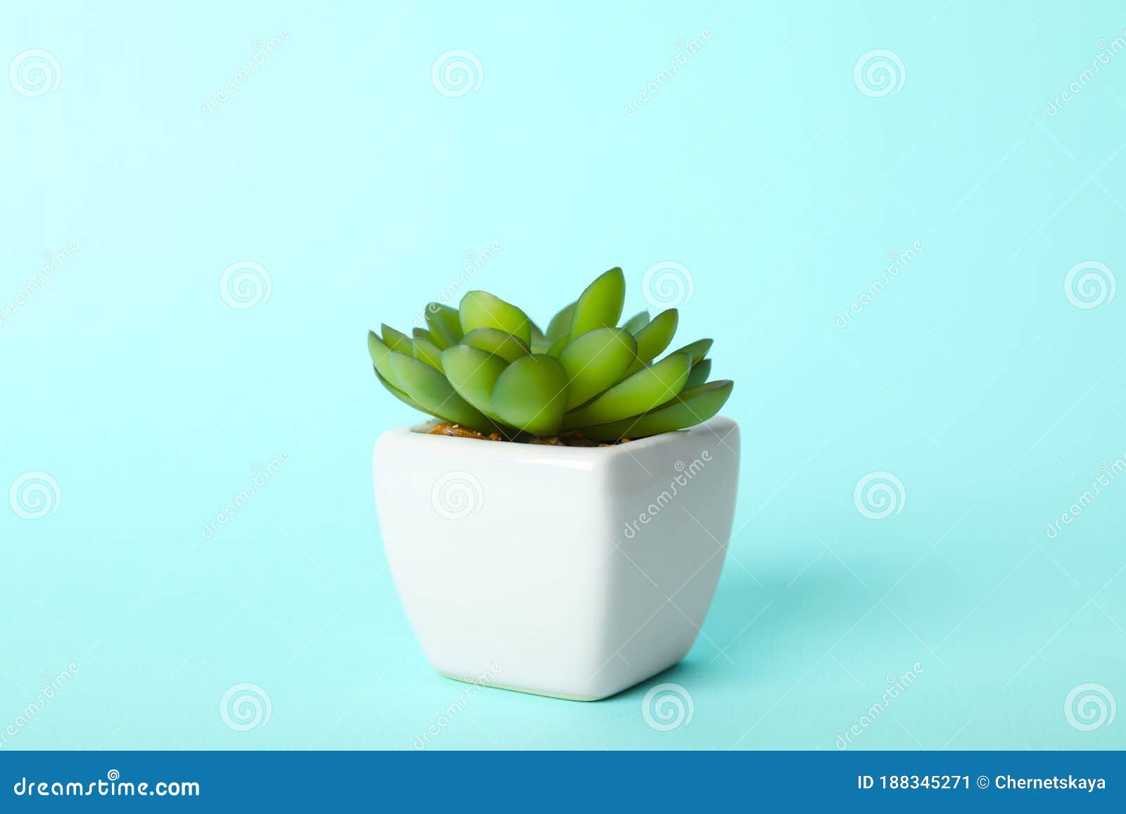 Artificial Plant in Flower Pot on Blue Background Stock Image - Image ...