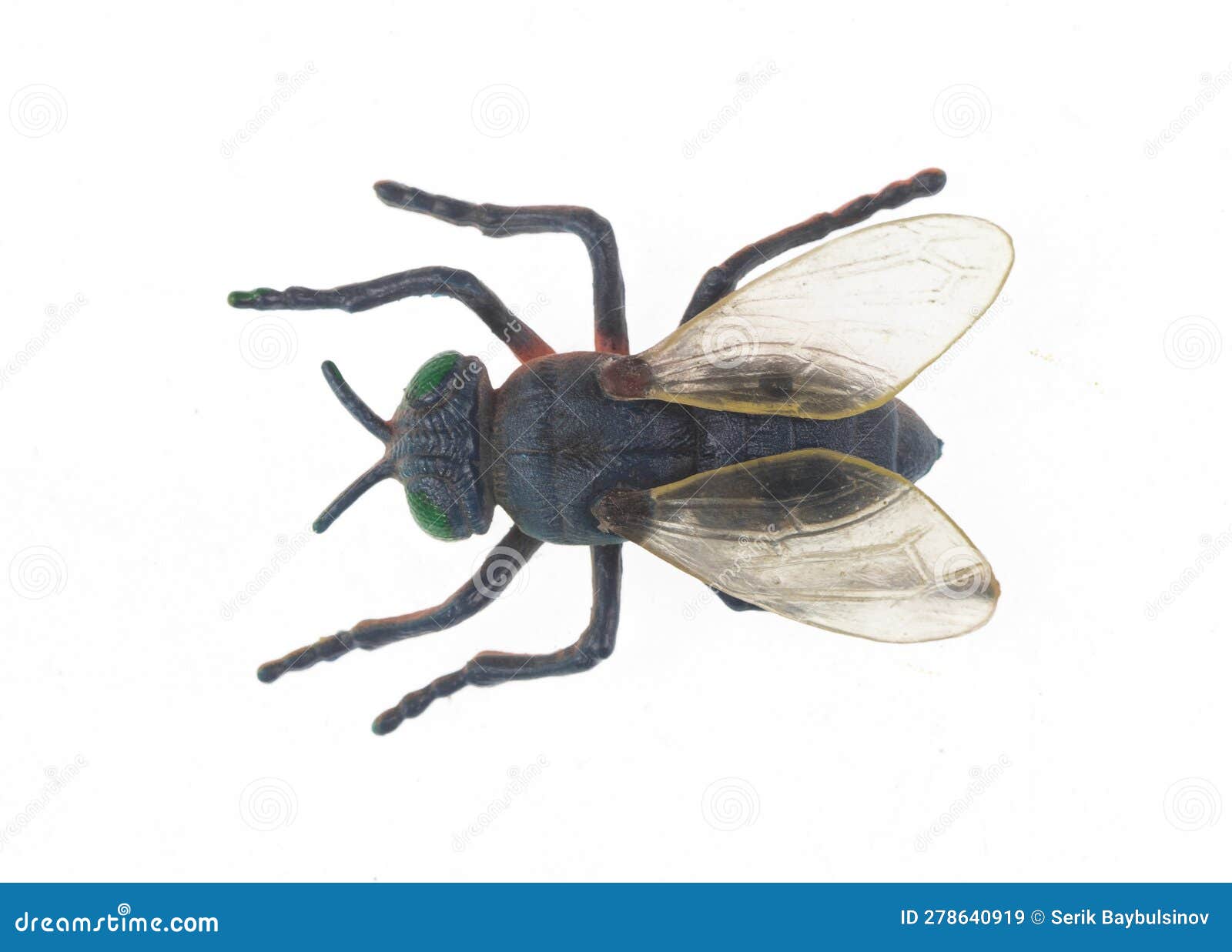 Artificial Plastic Fly Isolated on White Stock Image - Image of closeup ...