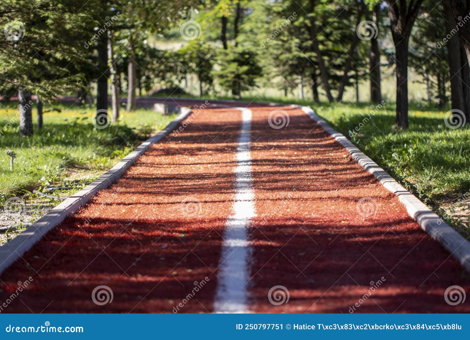 Artificial Plastic Material Covered Jogging Track, Road in Red Color ...