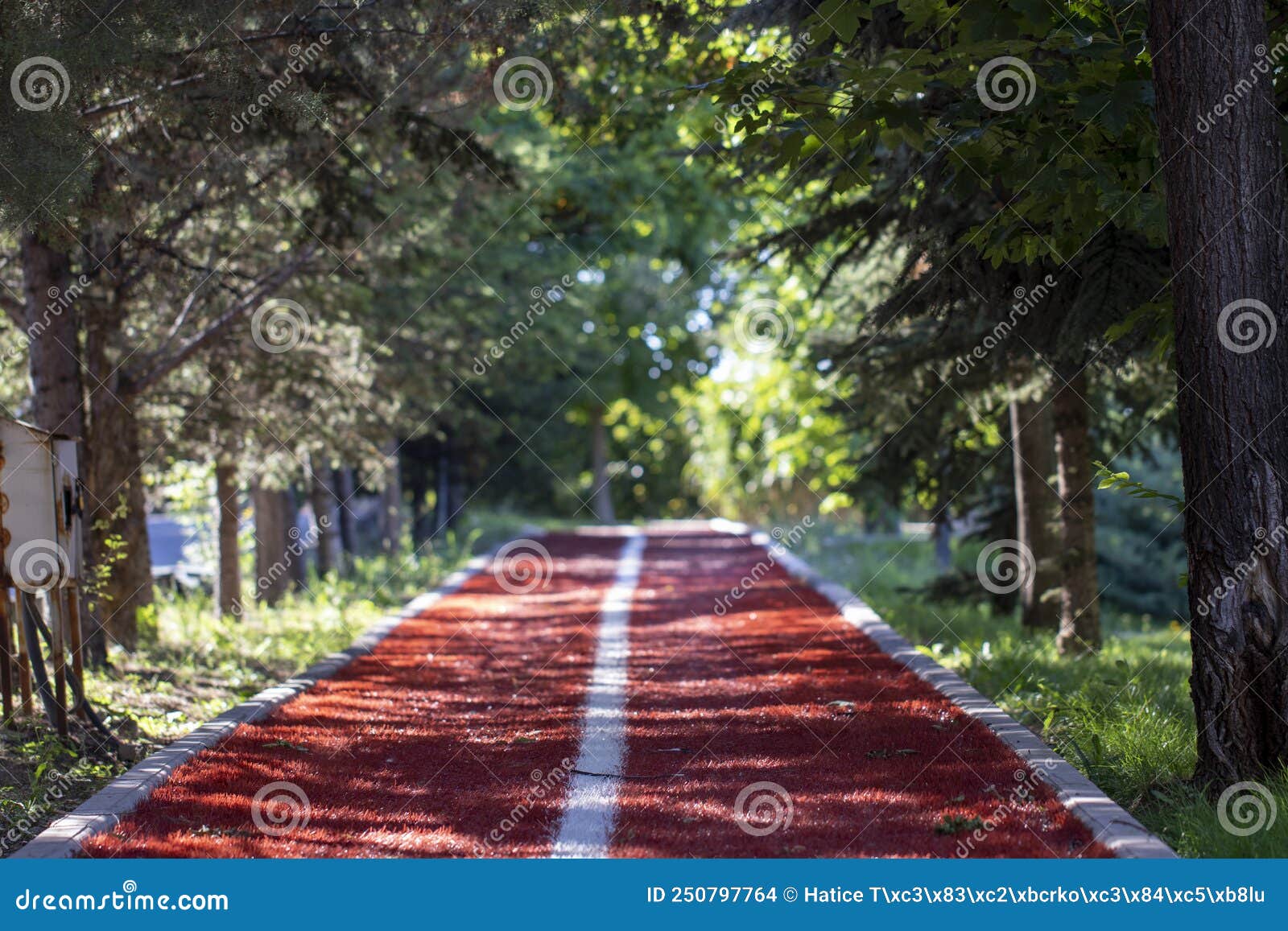 Artificial Plastic Material Covered Jogging Track, Road in Red Color ...
