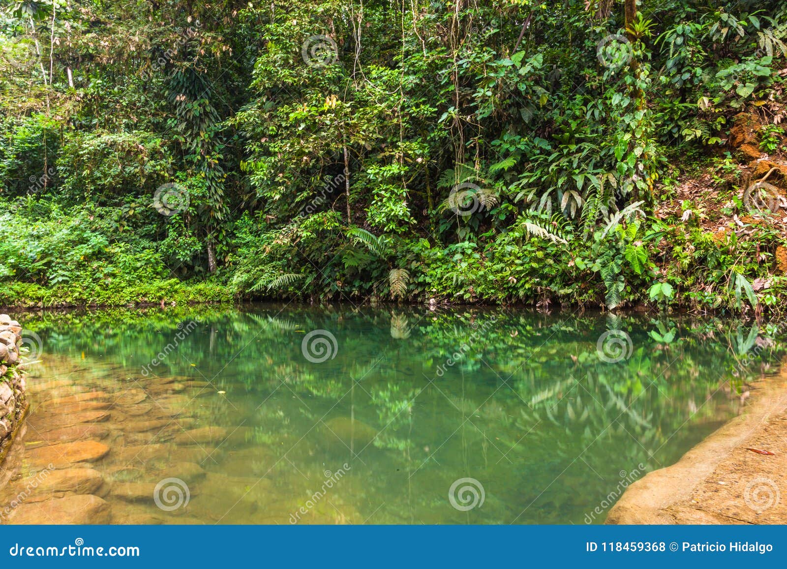 Artificial pond of water stock photo. Image of natural - 118459368