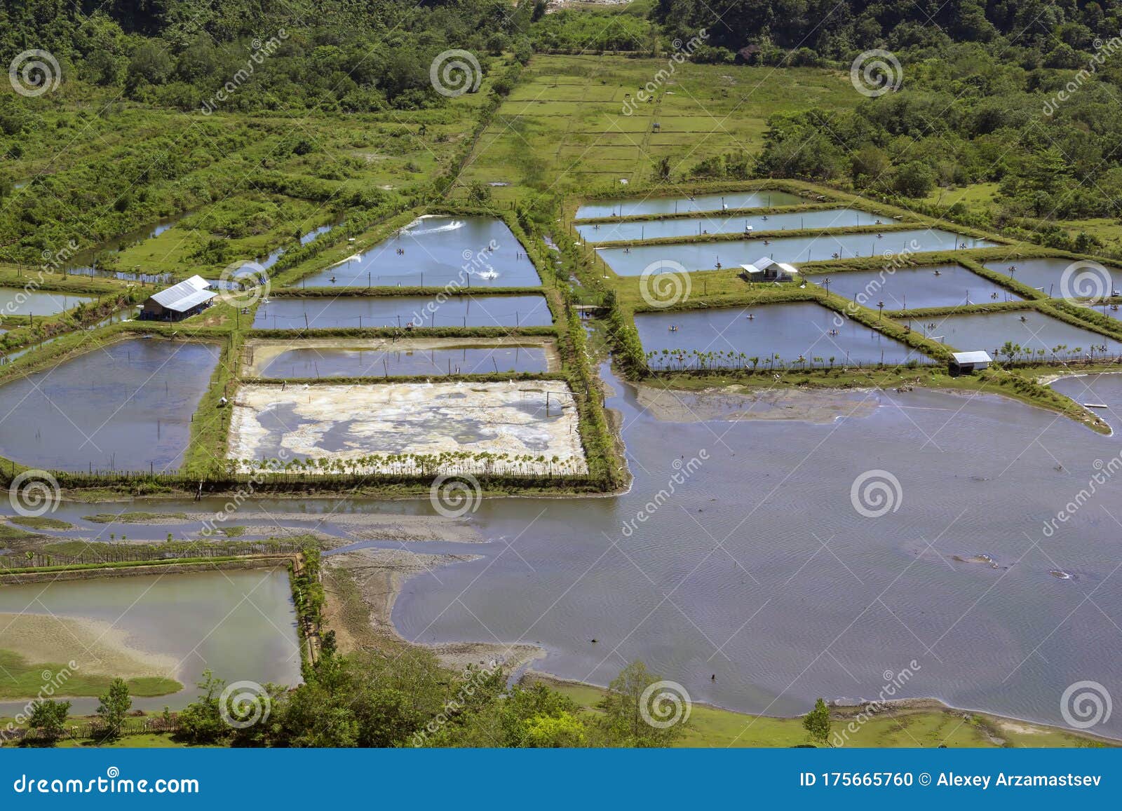 Artificial Ponds for Breeding Fish, Mussels, Shellfish, Lobsters. Stock ...