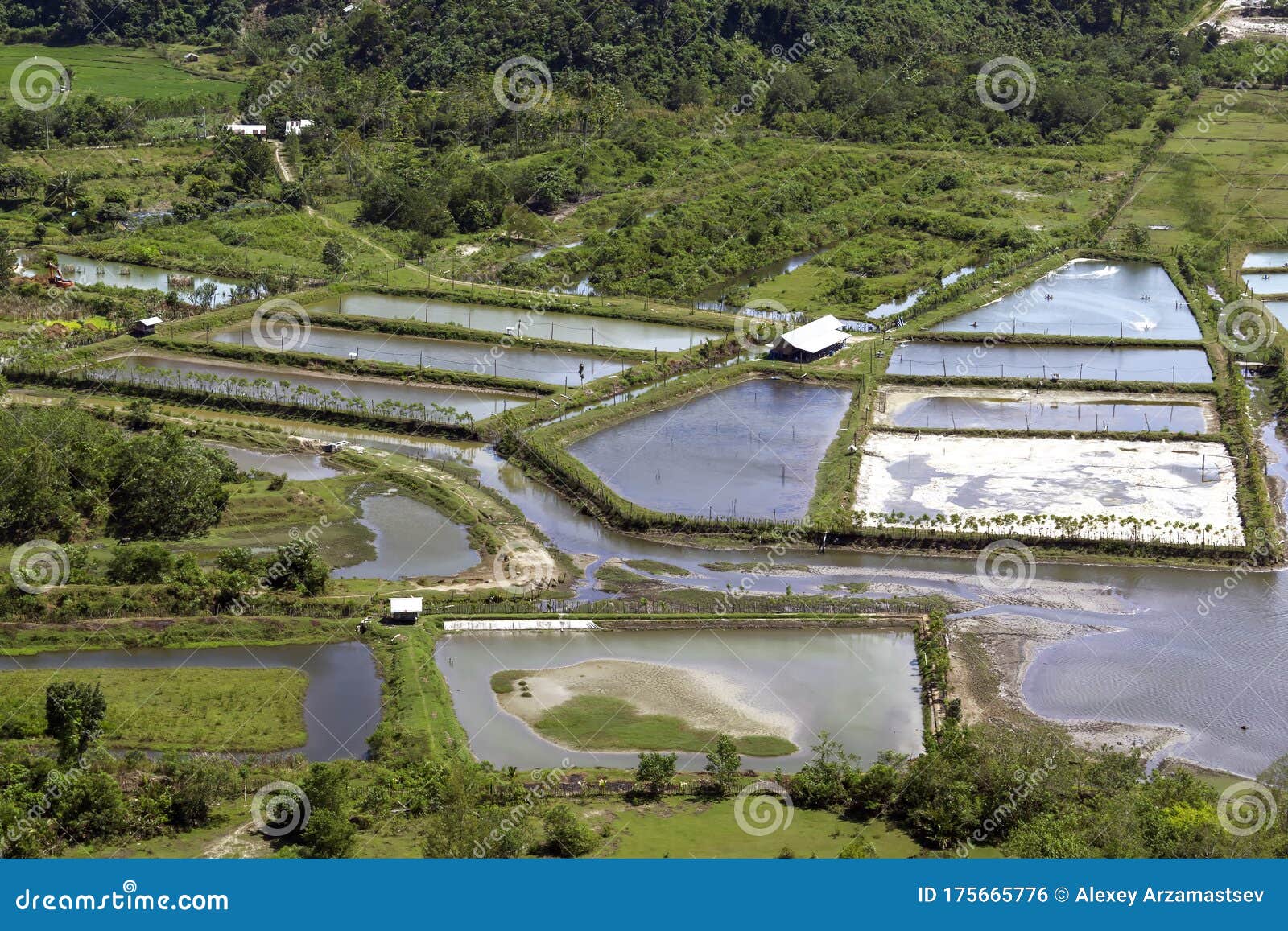 Artificial Ponds for Breeding Fish, Mussels, Shellfish, Lobsters. Stock ...