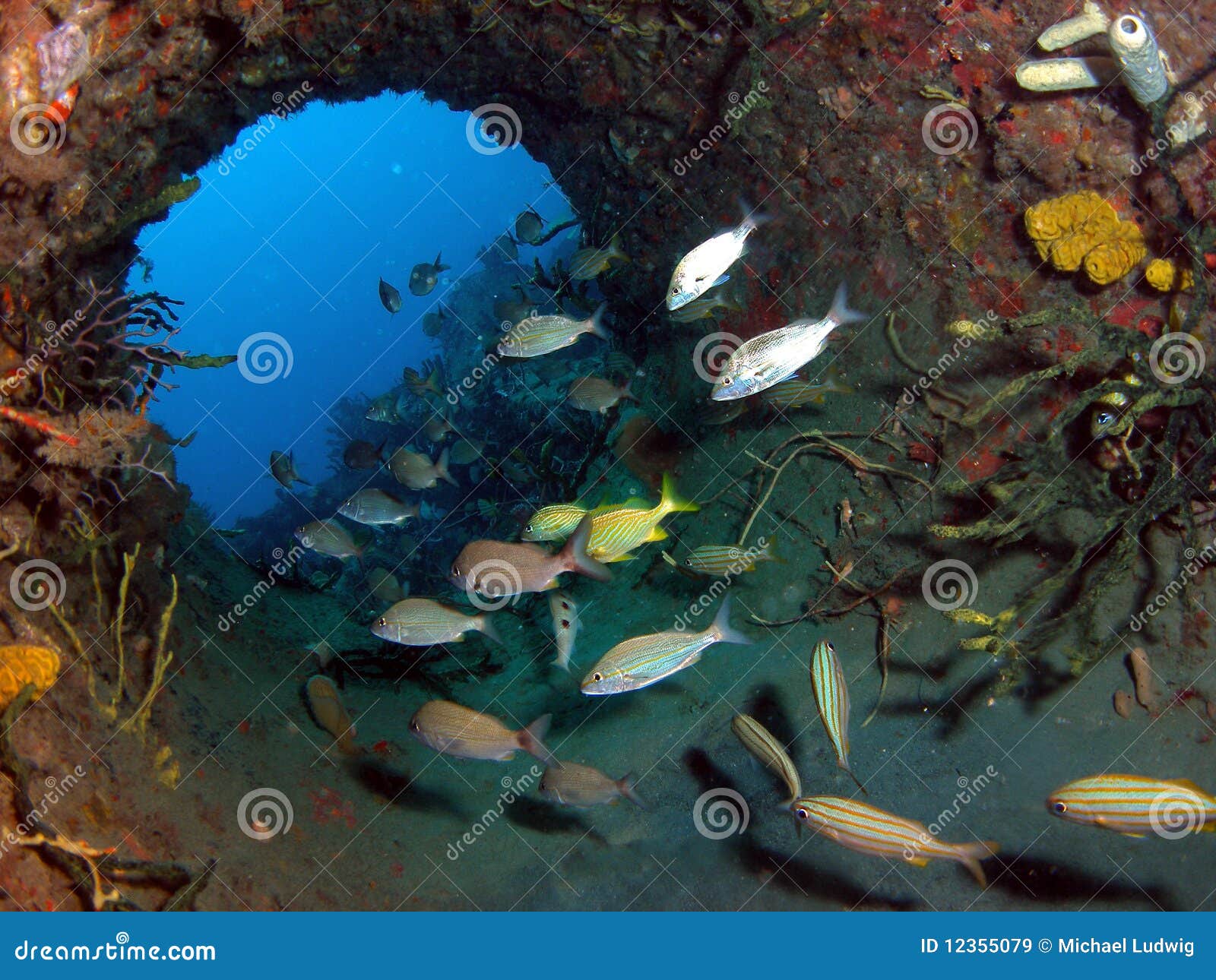 Artificial Reef Sea Defence System Royalty-Free Stock Image ...