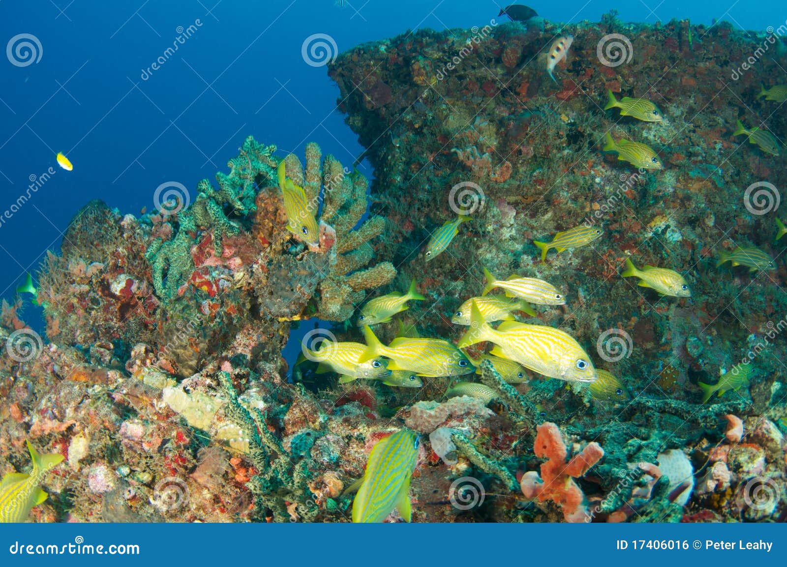 Artificial Reef Sea Defence System Royalty-Free Stock Image ...