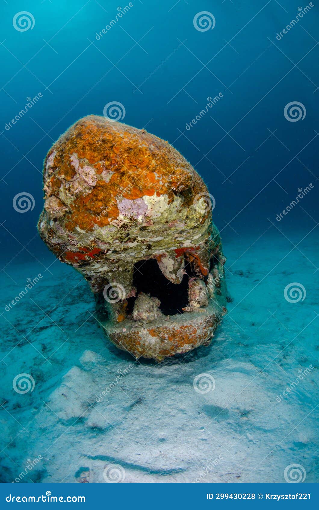 Artificial reef structure stock photo. Image of garden - 299430228 Artificial reef structure stock photo. Image of garden - 299430228