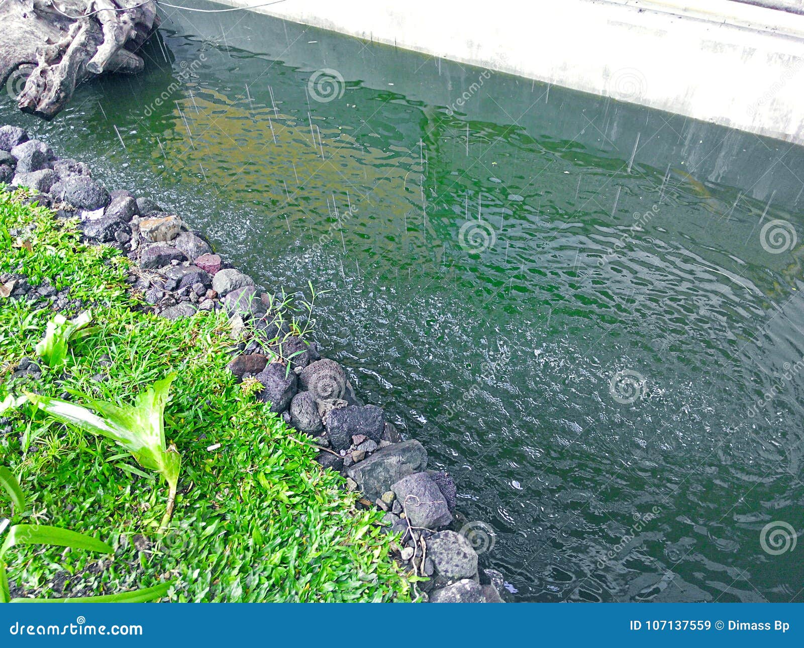 Artificial River in the Park Stock Image - Image of beautiful, house ...