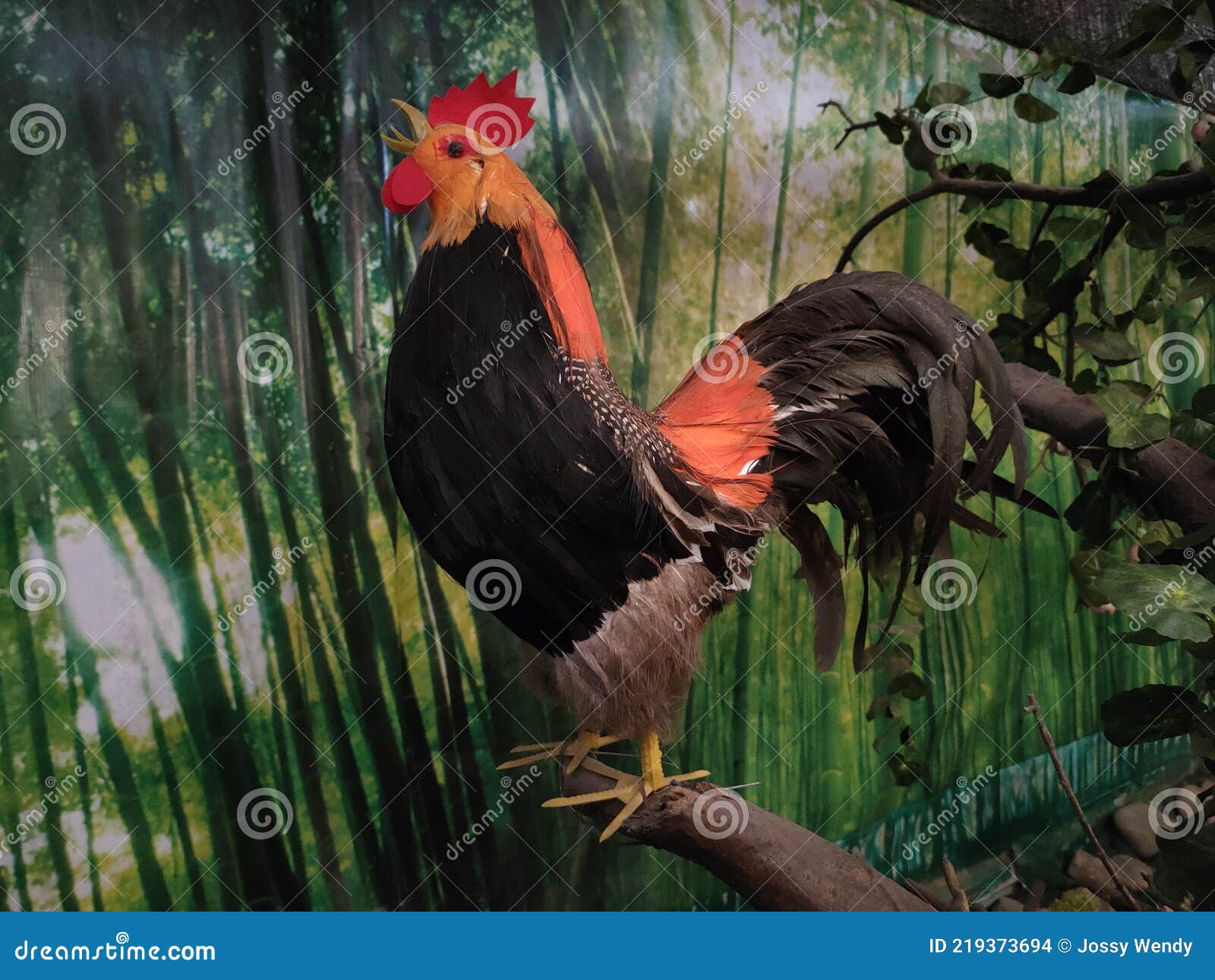 An Artificial Rooster on a Dried Tree Branch. Editorial Stock Image ...