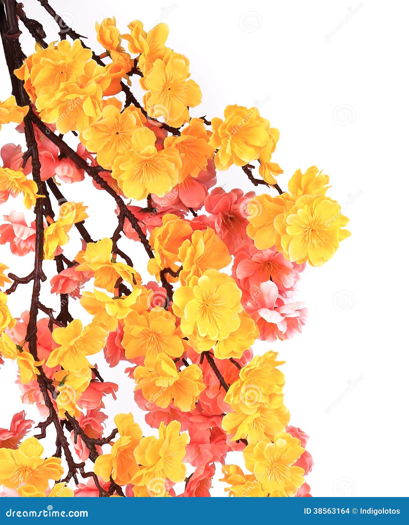 Witk Flowers Stock Photos - Free & Royalty-Free Stock Photos from ...