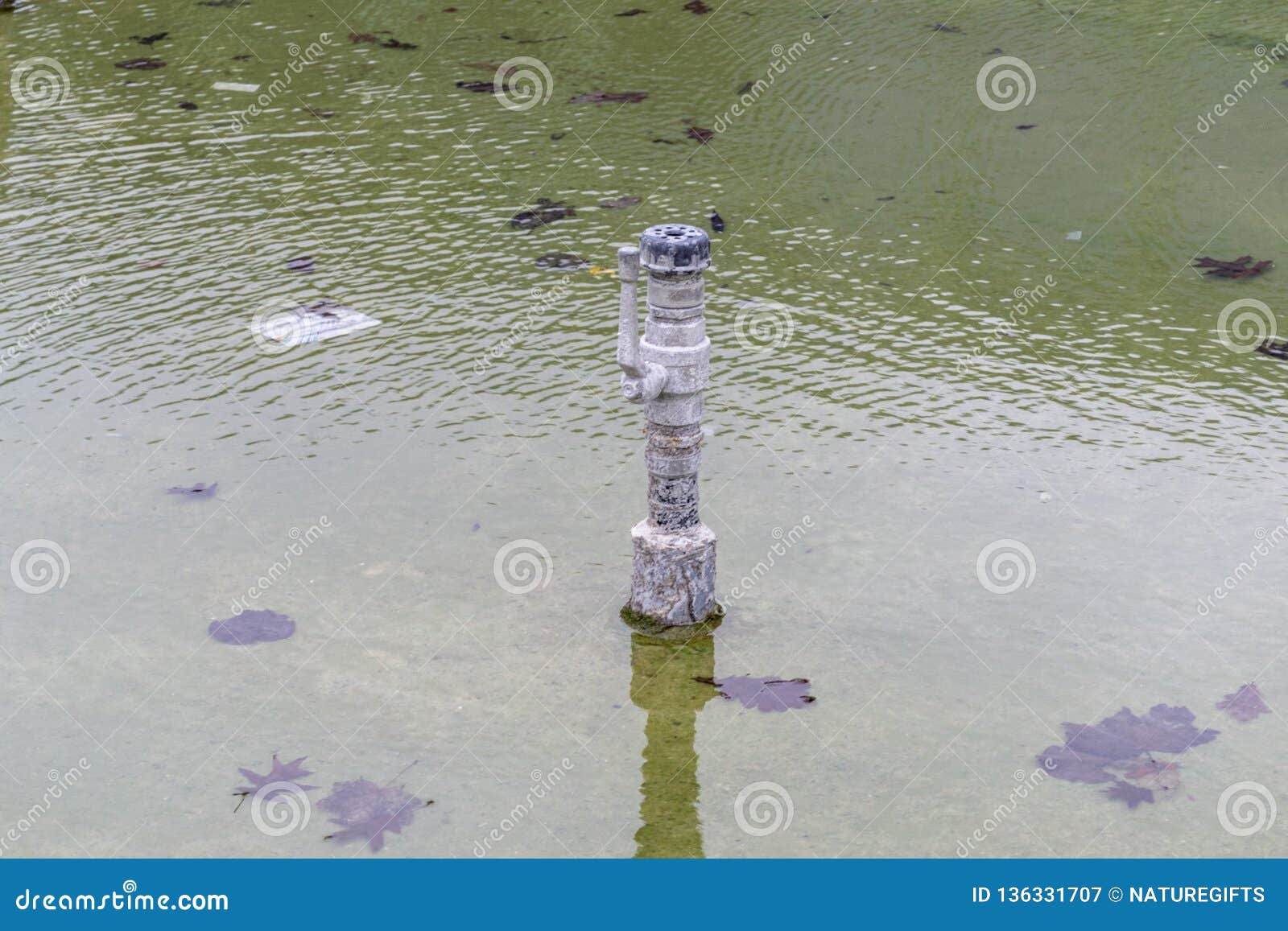 Artificial Shallow Water Reservoir Stock Image - Image of reservoir ...