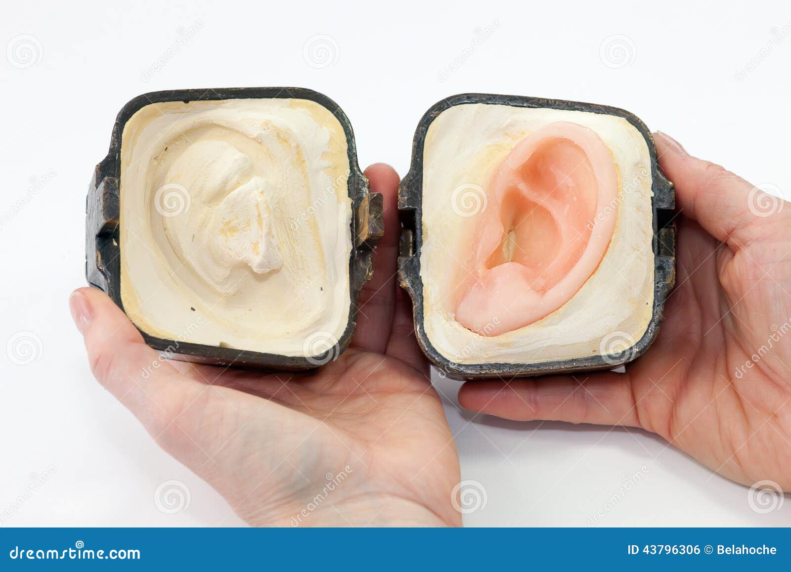 Artificial Silicone Human Ear on Plaster Stock Photo - Image of ...