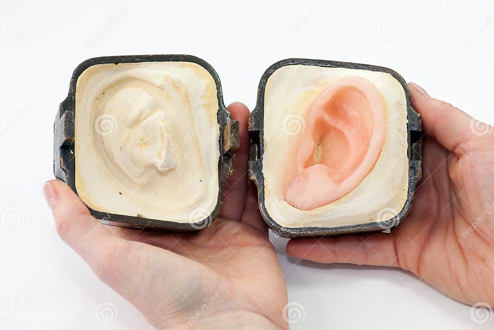 Artificial Silicone Human Ear on Plaster Stock Photo - Image of ...