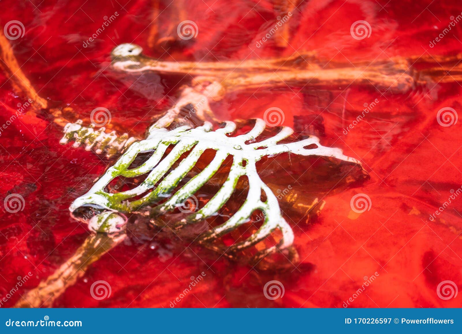 Artificial Skeleton and Bones Floating in Pool Full of Blood.Halloween ...