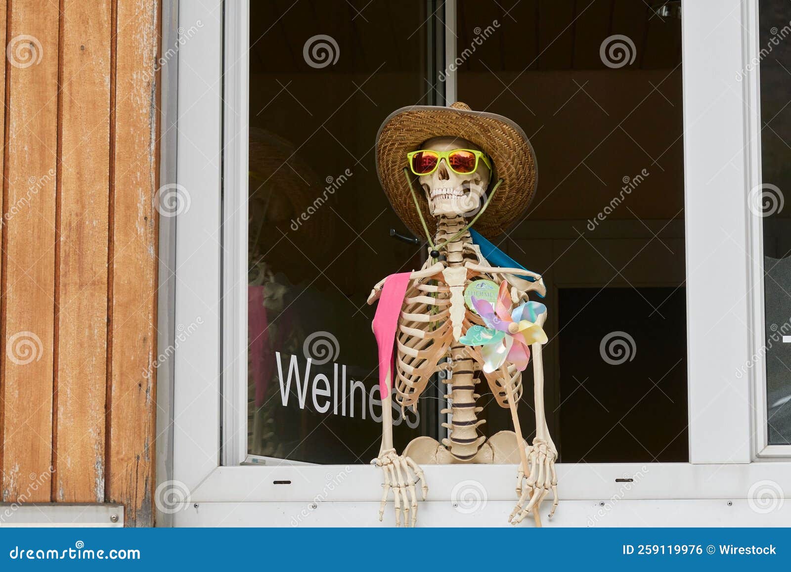 Artificial Skeleton in the Window with Sunglasses and a Straw Hat ...