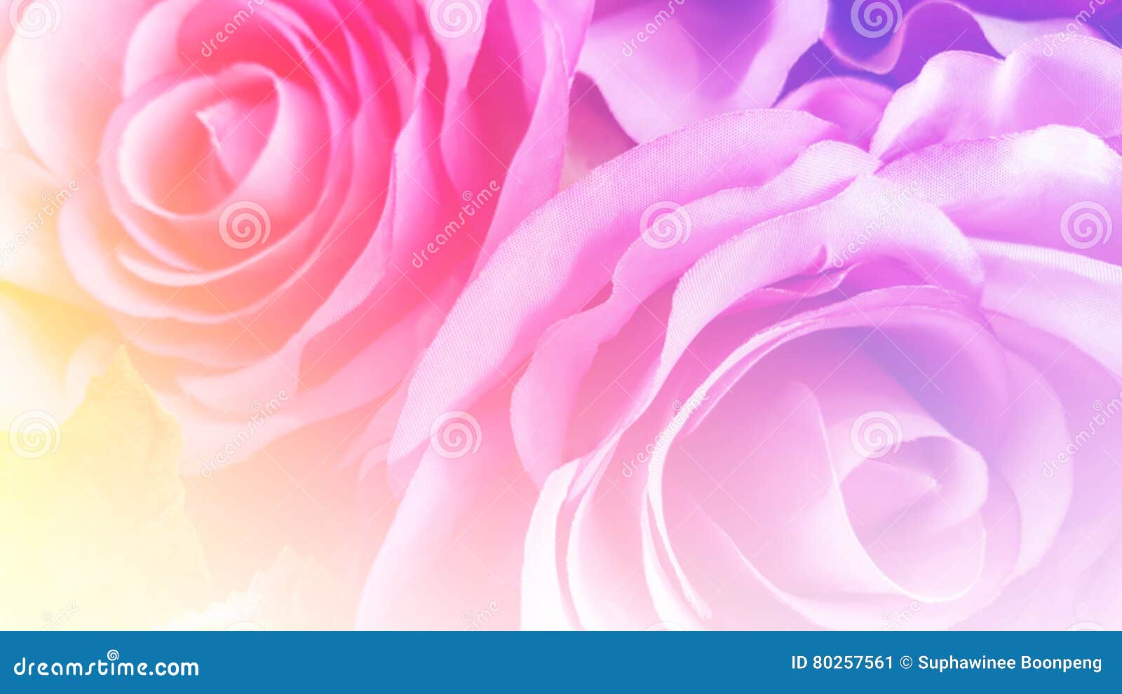 Artificial Soft Pink Roses with Blur Color Filter As Background Stock ...