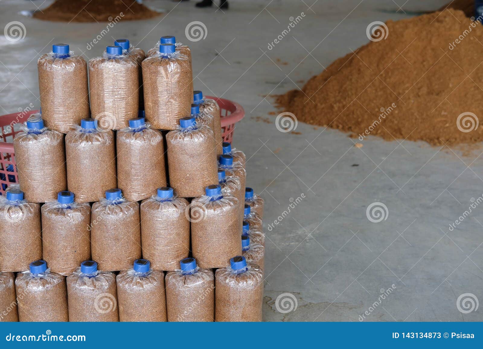 Artificial Substrate in Bag for Growing Mushroom in Farm Stock Image ...