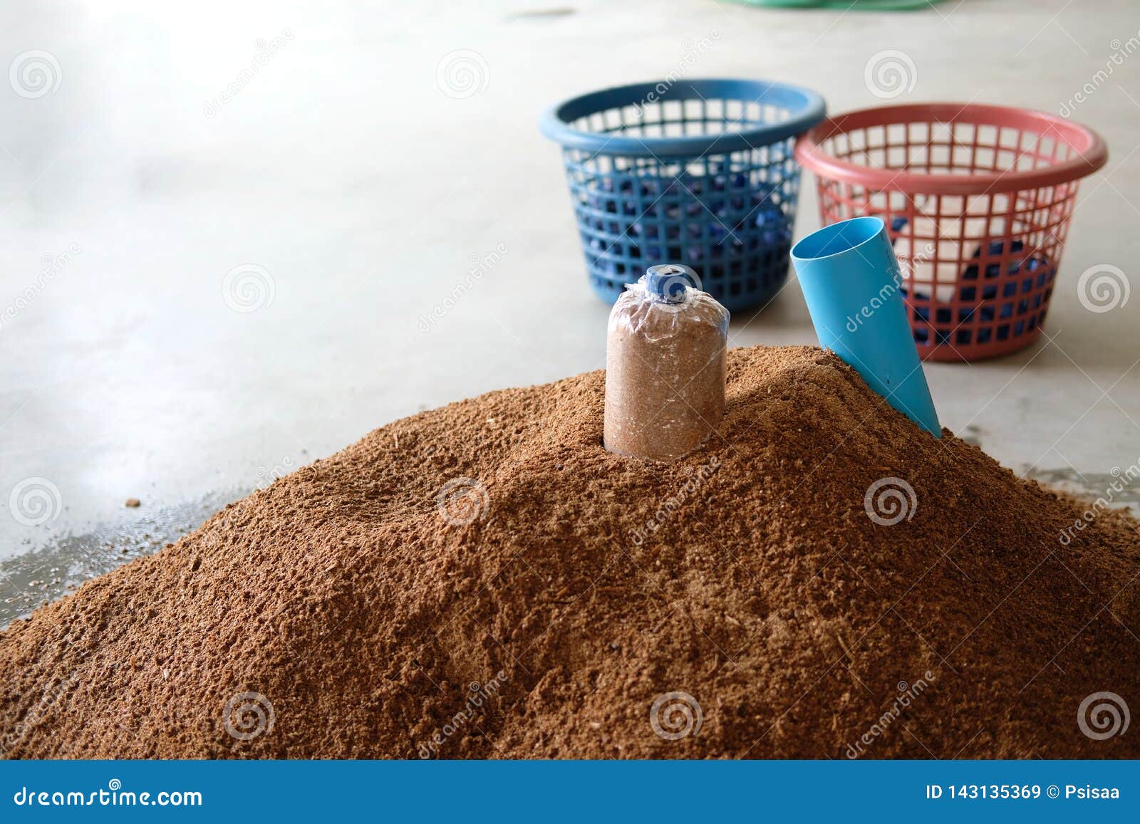 Artificial Substrate in Bag for Growing Mushroom in Farm Stock Image ...