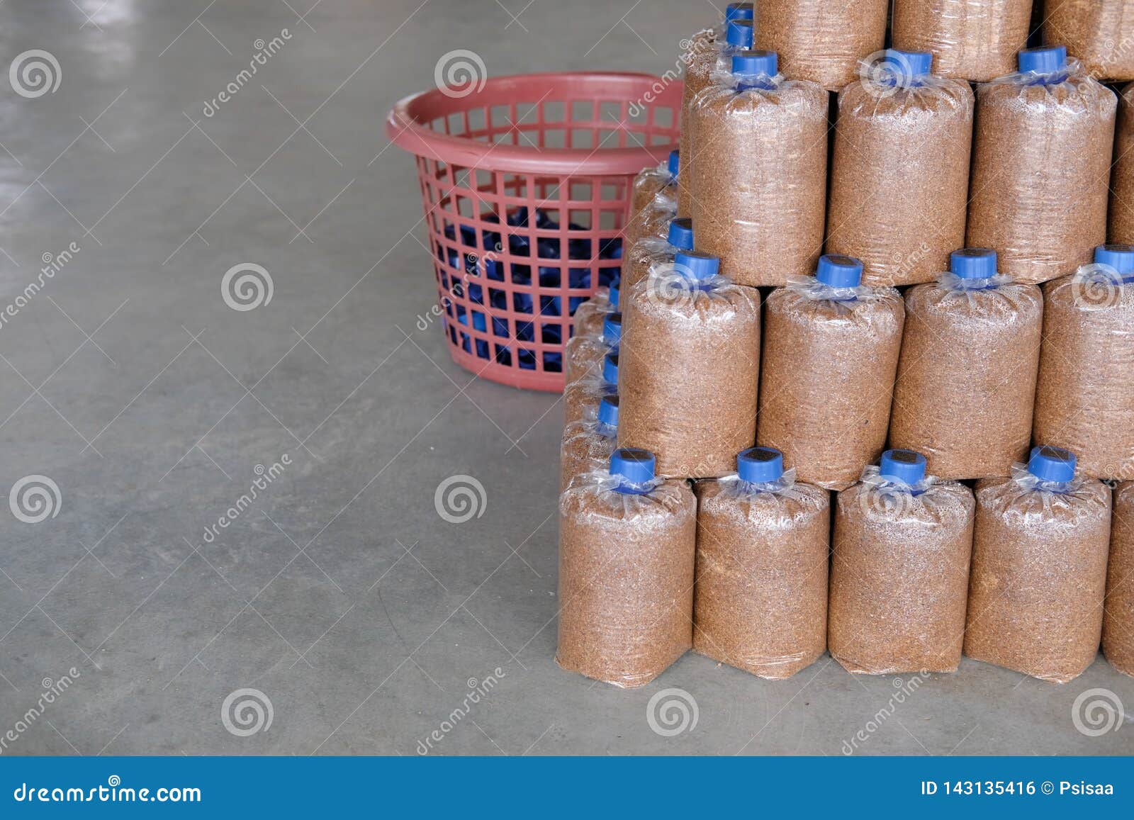 Artificial Substrate in Bag for Growing Mushroom in Farm Stock Photo ...