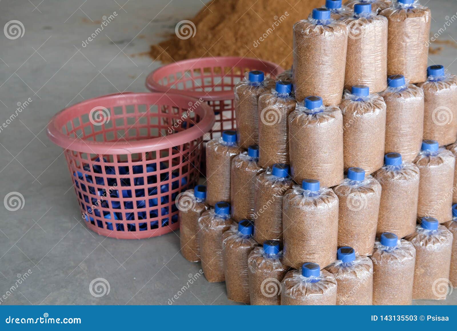 Artificial Substrate in Bag for Growing Mushroom in Farm Stock Image ...